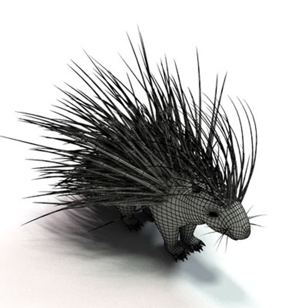 3d porcupine animals rodents