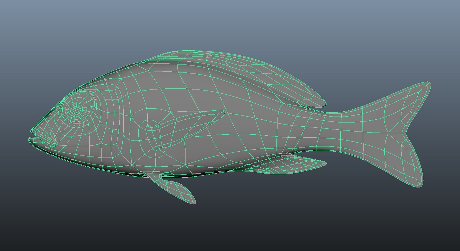 Saltwater Fish Collection 24 3D Model - TurboSquid 1837596