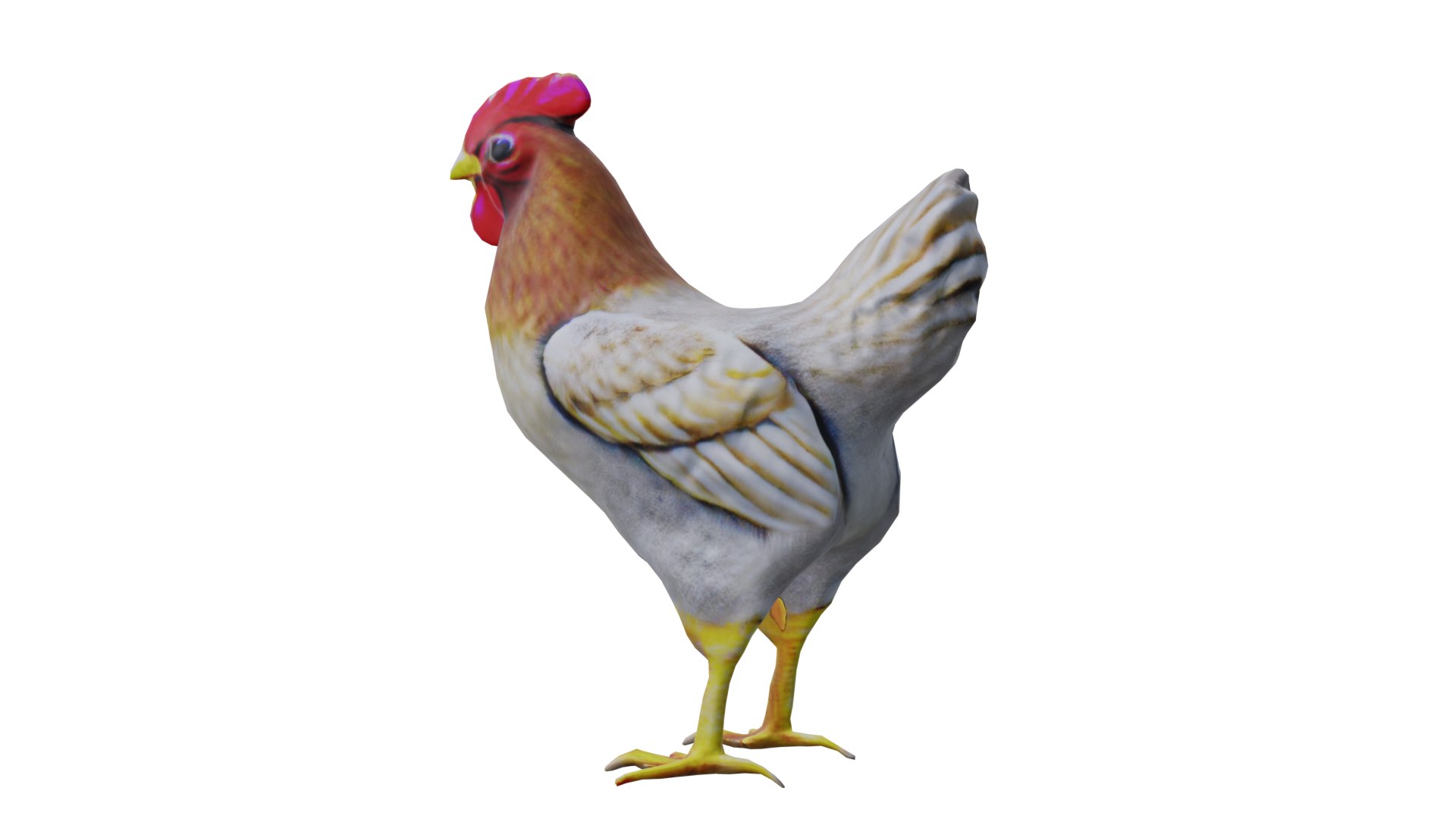 3D Chicken Low Poly - TurboSquid 2206420
