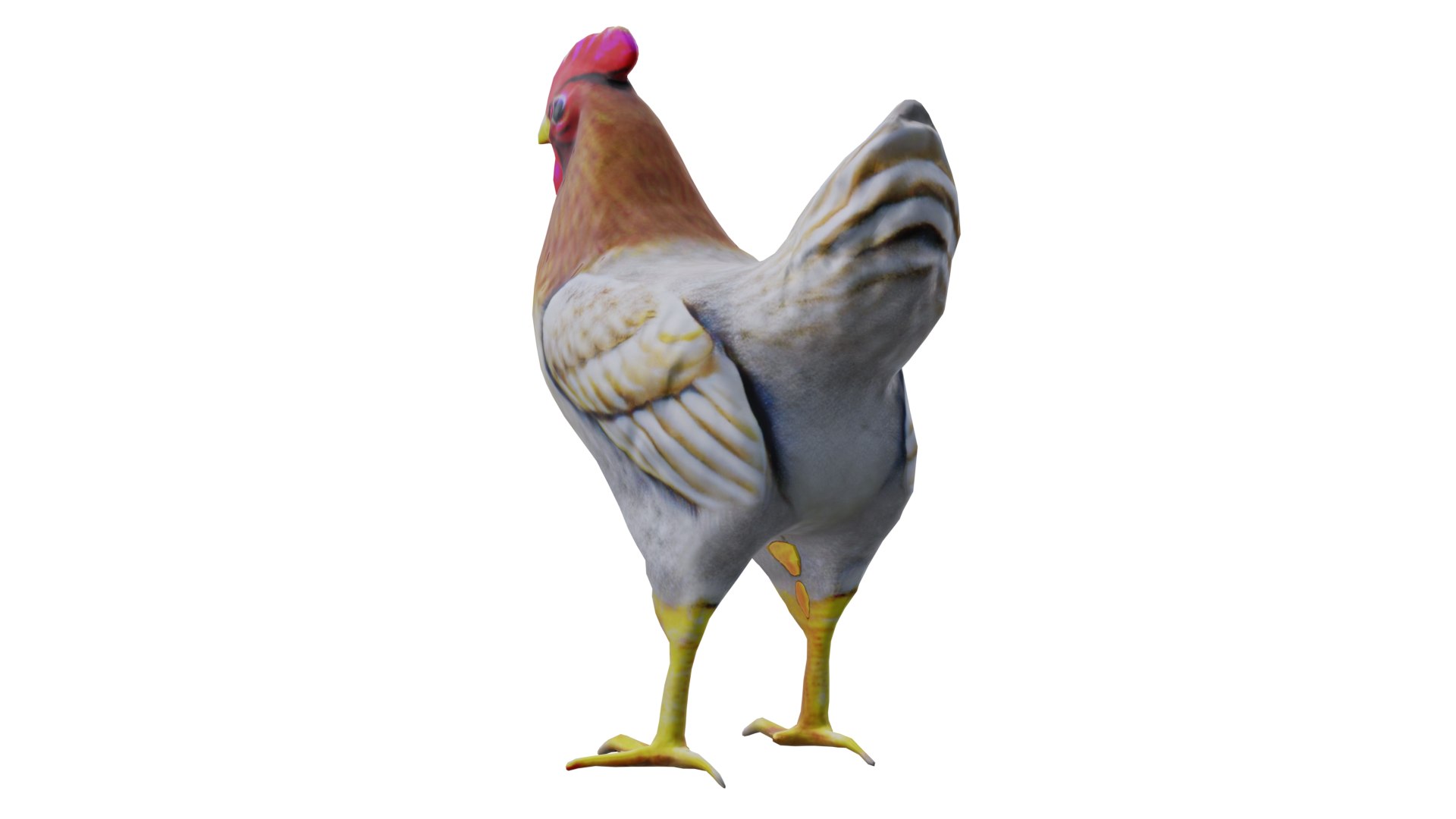3D Chicken Low Poly - TurboSquid 2206420