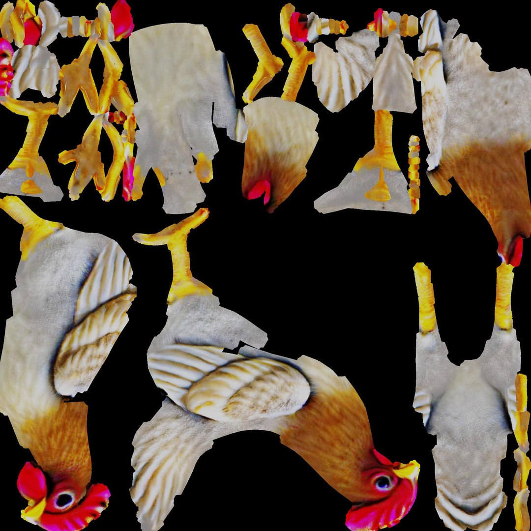 3D Chicken Low Poly - TurboSquid 2206420
