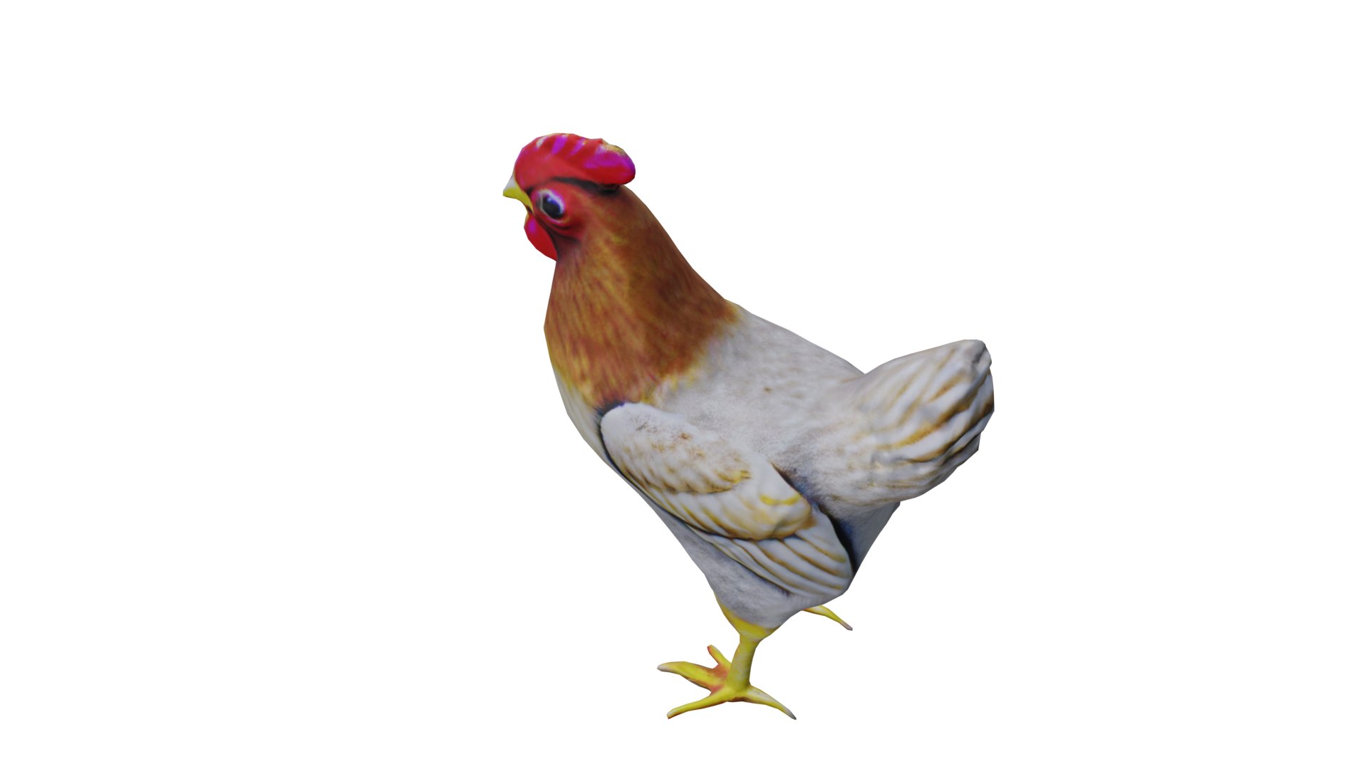 3D Chicken Low Poly - TurboSquid 2206420