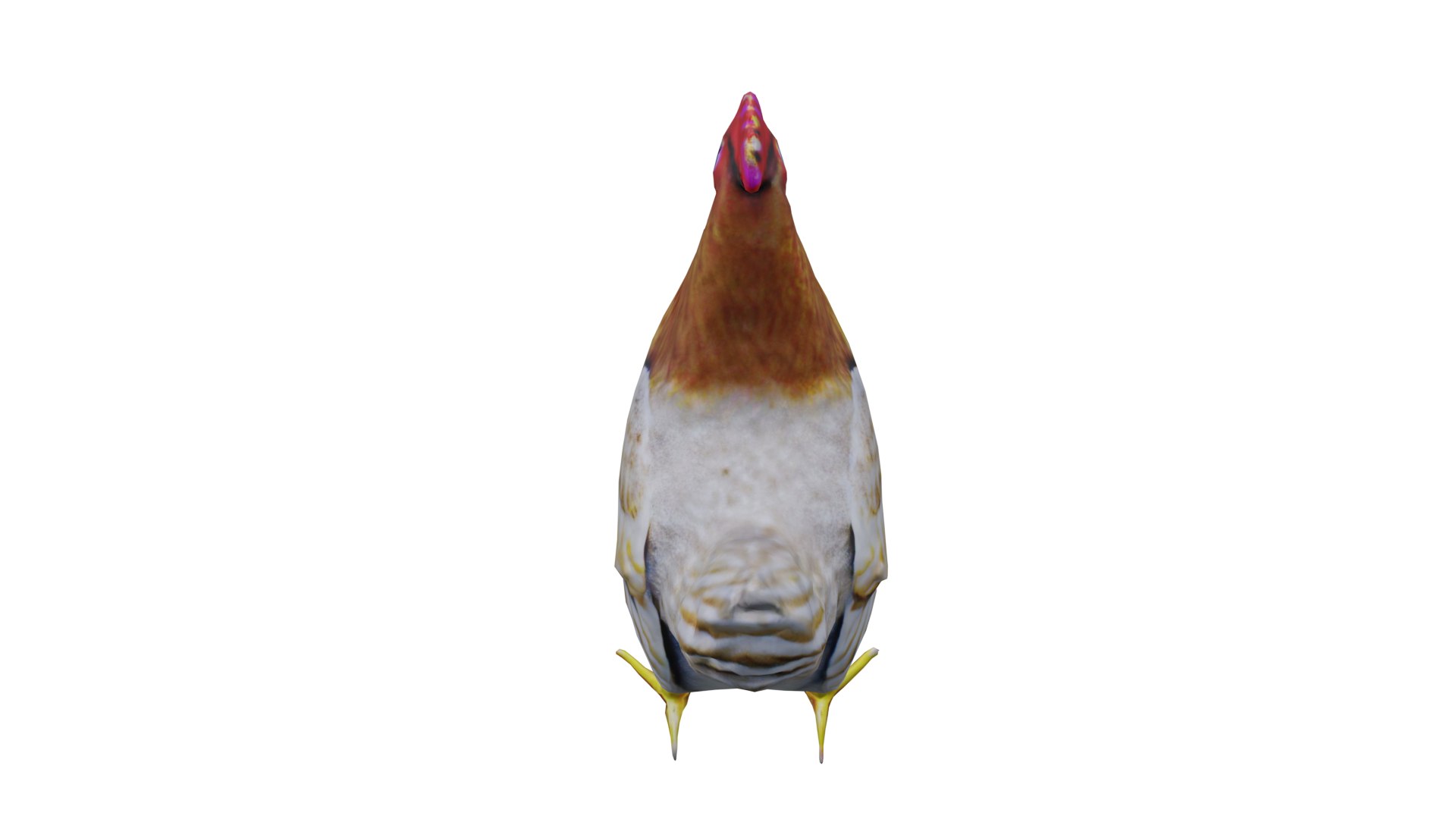 3D Chicken Low Poly - TurboSquid 2206420