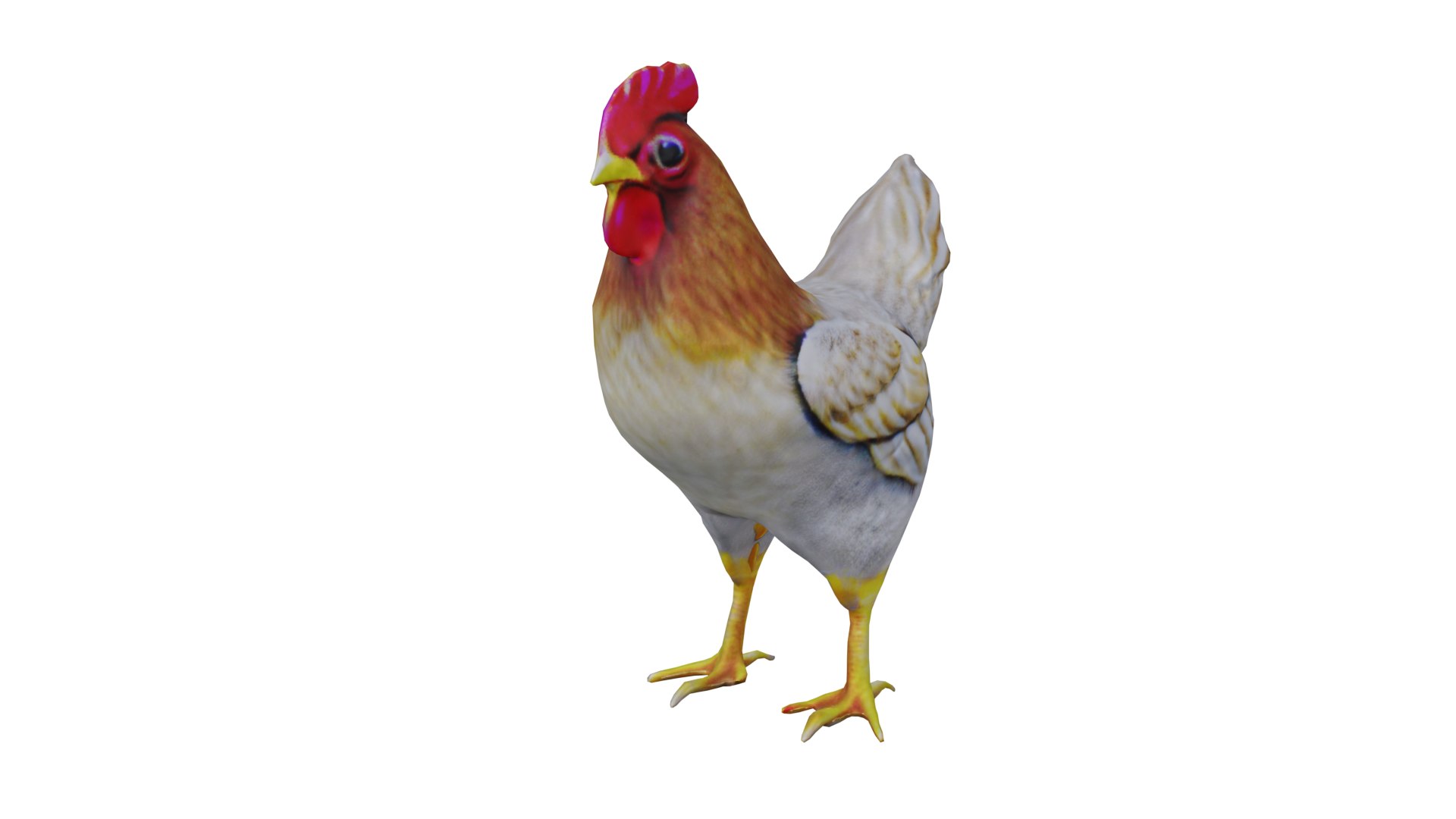 3D Chicken Low Poly - TurboSquid 2206420
