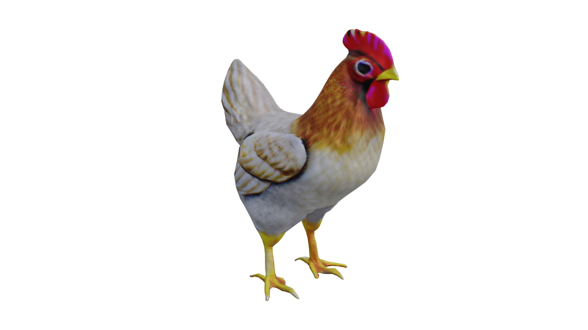 3D Chicken Low Poly - TurboSquid 2206420