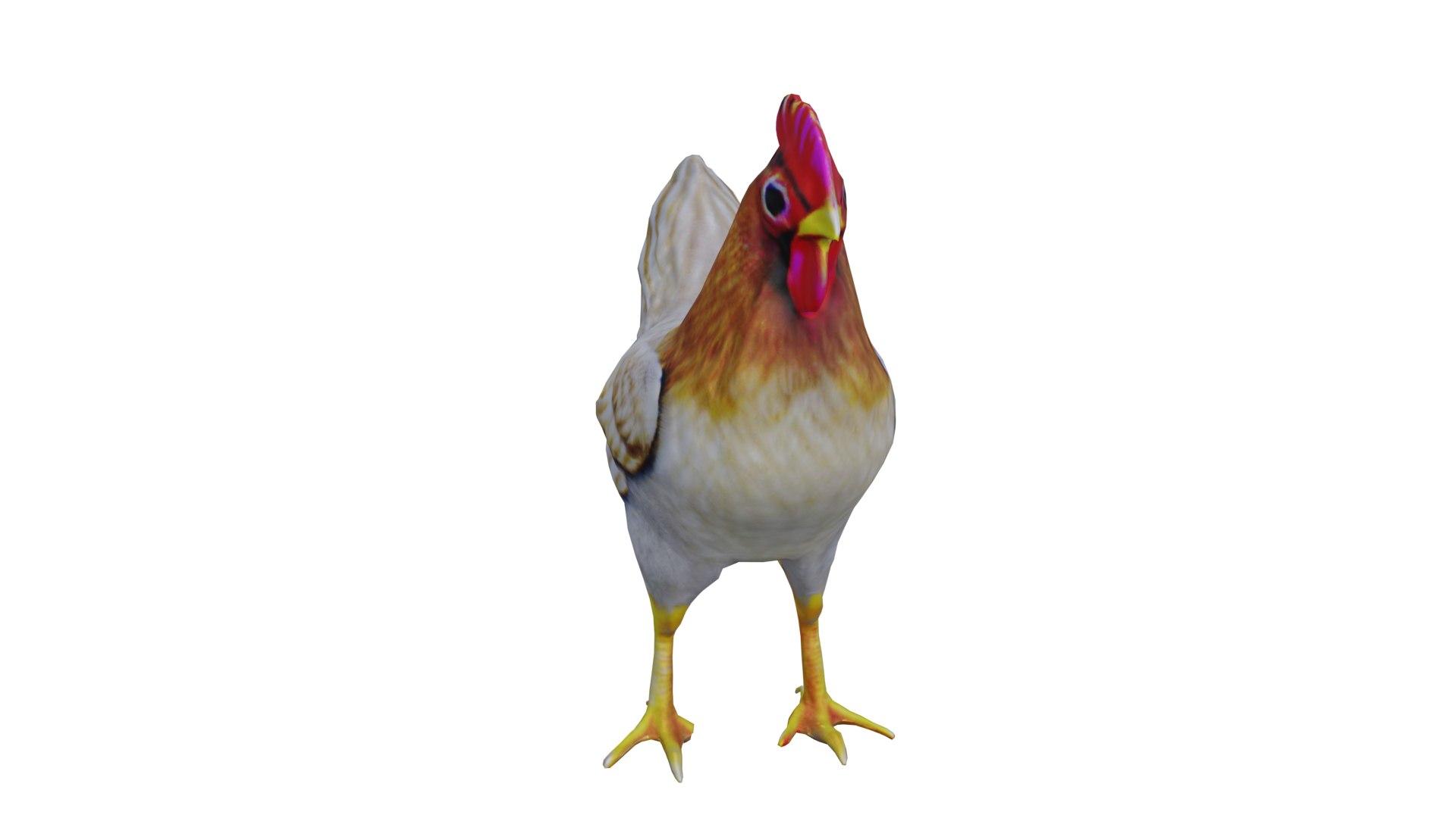 3D Chicken Low Poly - TurboSquid 2206420
