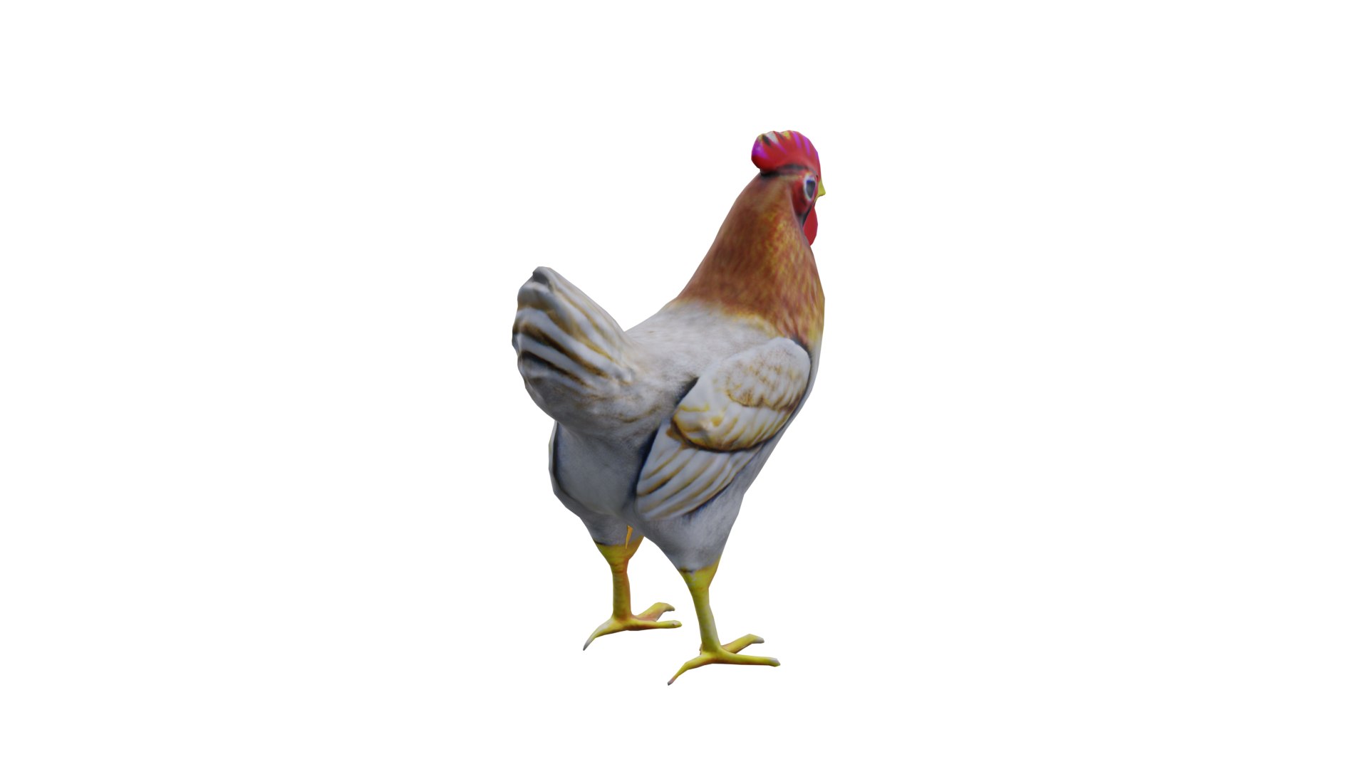 3D Chicken Low Poly - TurboSquid 2206420