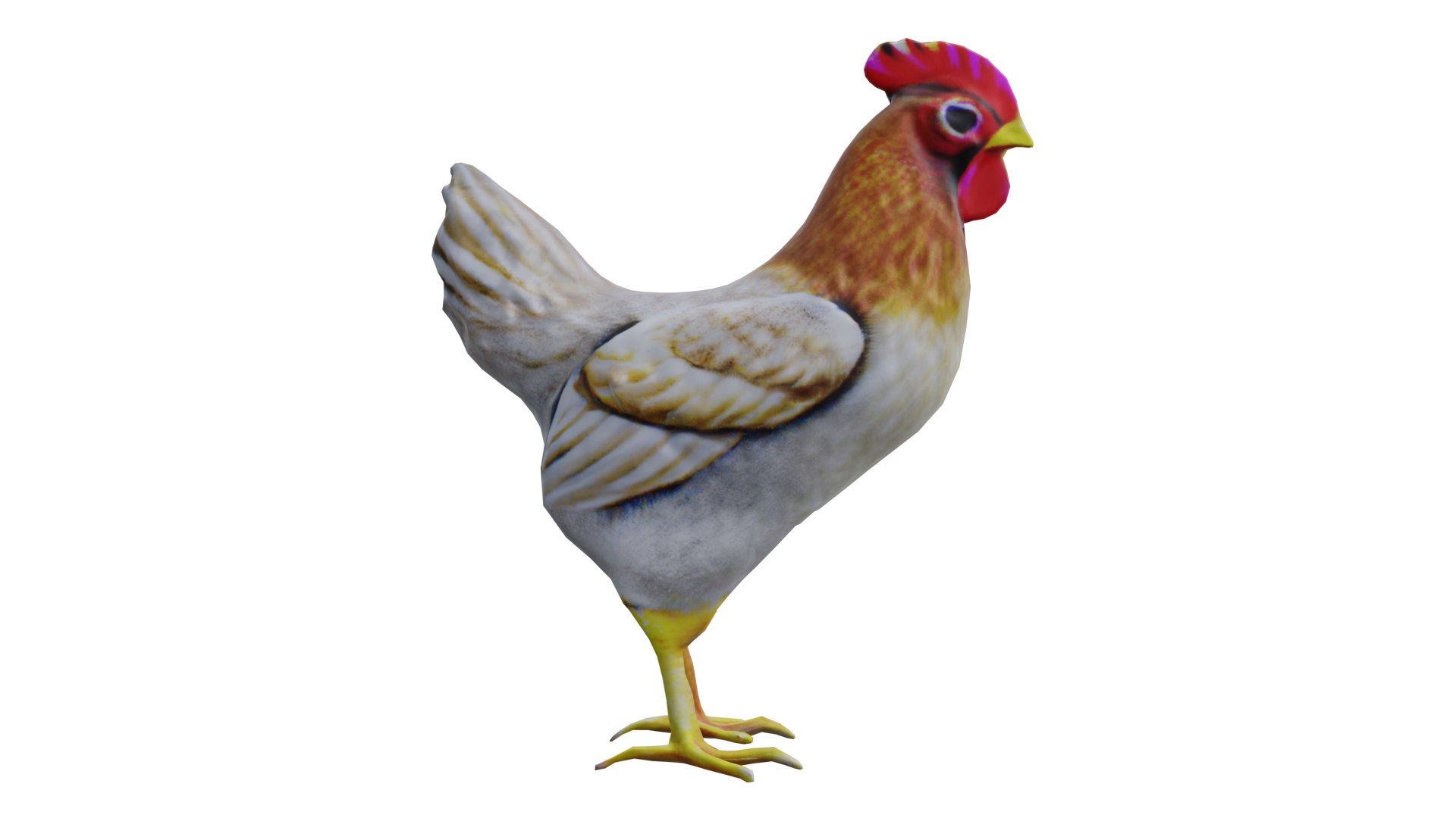 3D Chicken Low Poly - TurboSquid 2206420