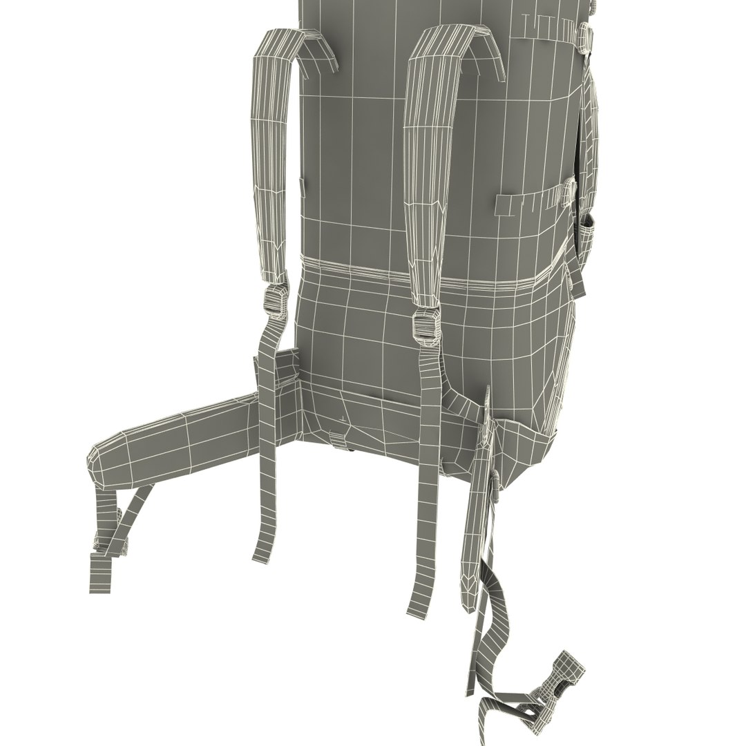 c4d large travel backpack