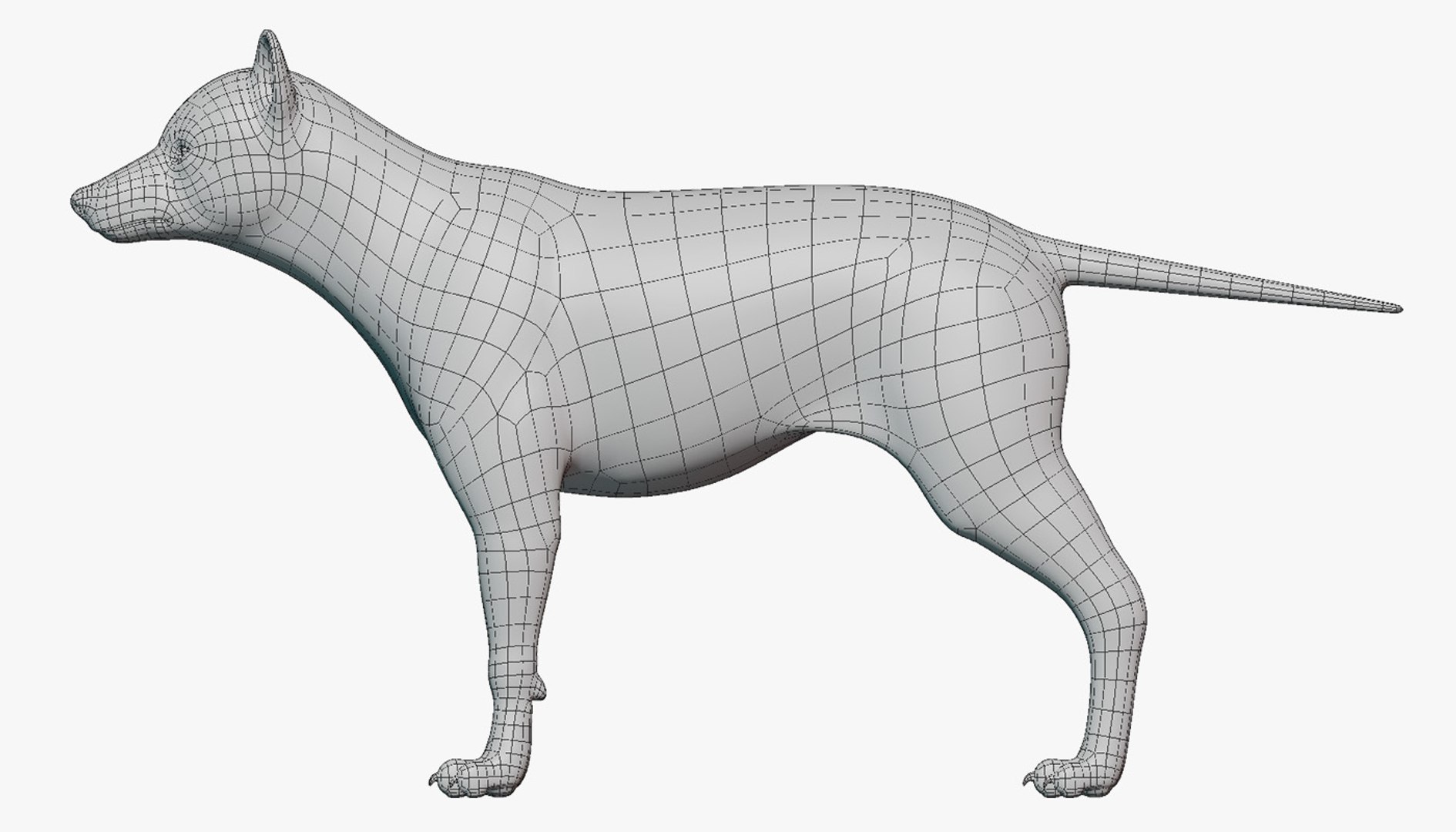 Animal base meshes rigged 3D - TurboSquid 1572566