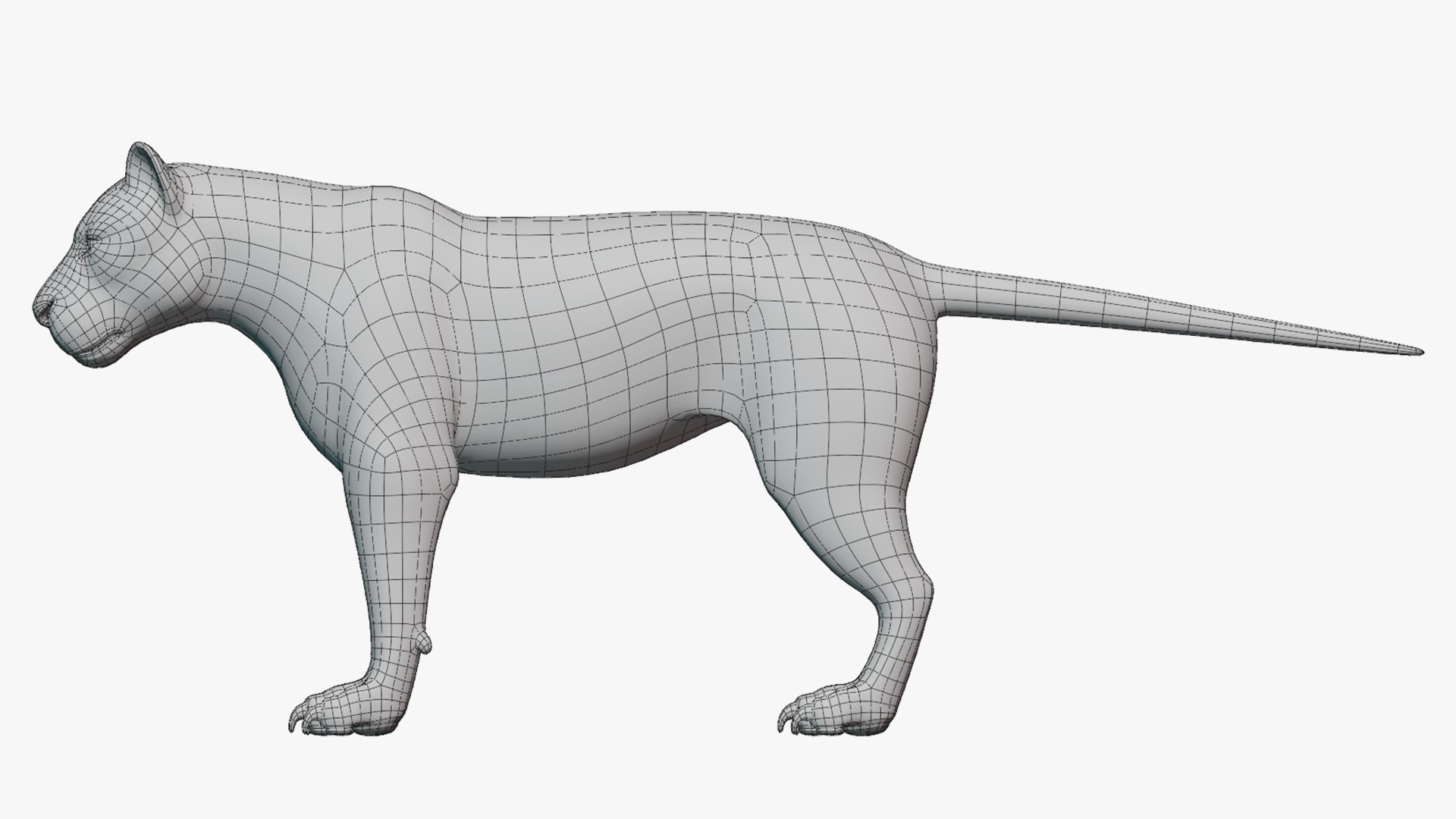 Animal Base Meshes Rigged 3D - TurboSquid 1572566