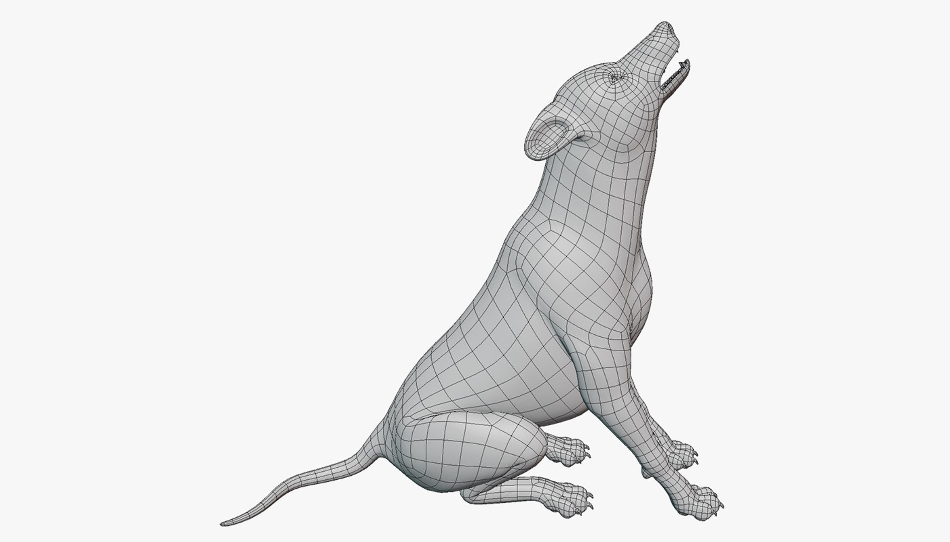 Animal Base Meshes Rigged 3D - TurboSquid 1572566