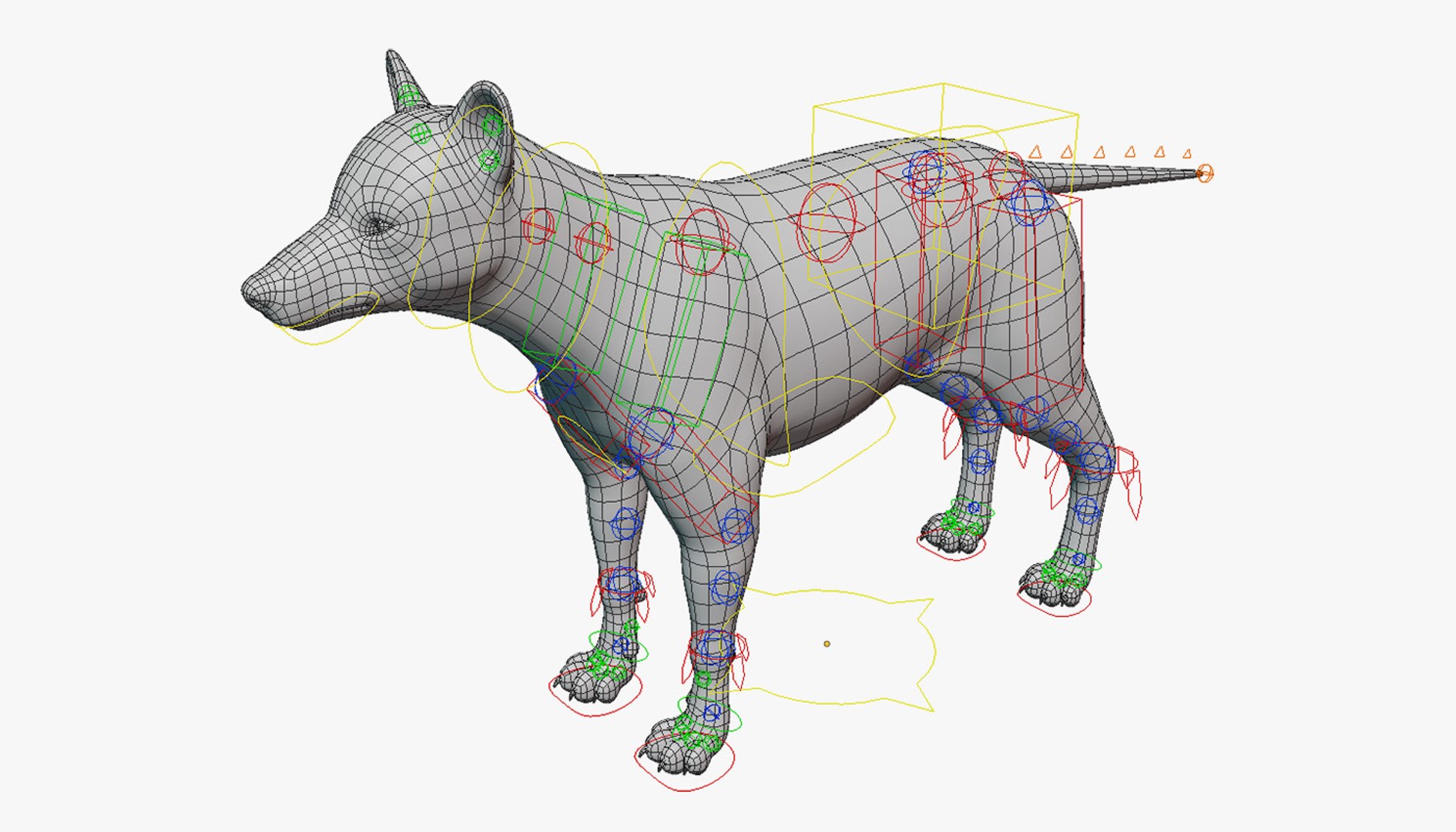 Animal base meshes rigged 3D - TurboSquid 1572566