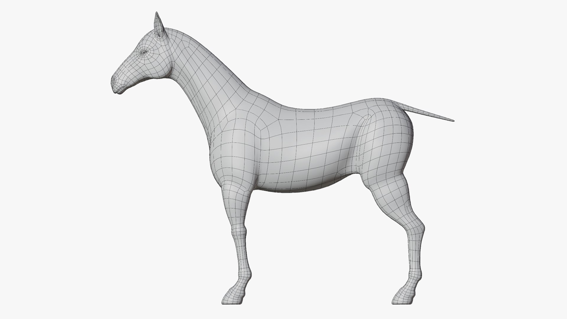 Animal Base Meshes Rigged 3D - TurboSquid 1572566