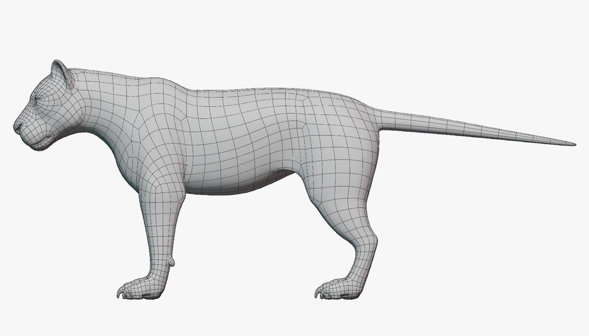 Animal base meshes rigged 3D - TurboSquid 1572566