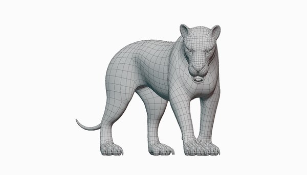 Base Meshes Animal Starter Kit 1 Rig3D模型 - TurboSquid 1572566