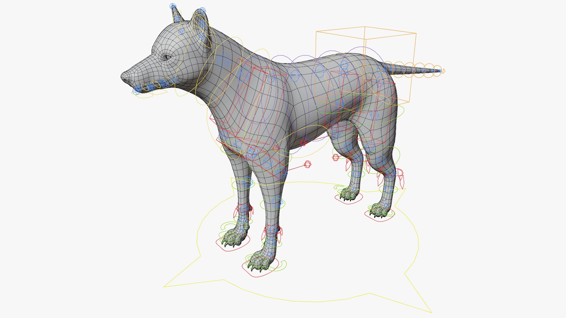 Animal Base Meshes Rigged 3D - TurboSquid 1572566