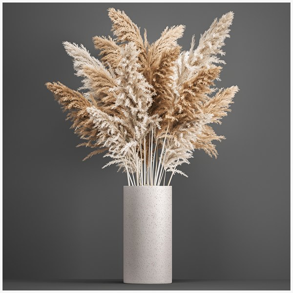 3D Reed Models | TurboSquid