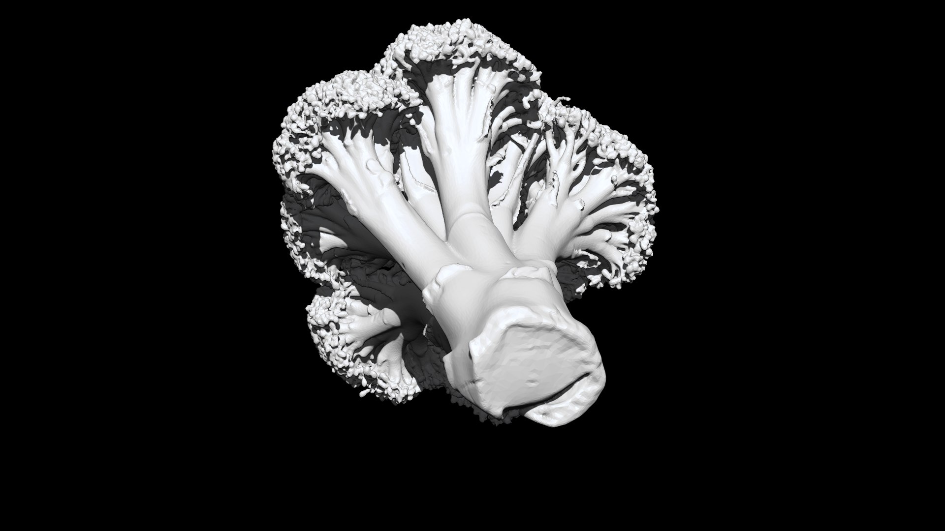 Broccoli 3D CT Scan Model Decimate 50percent 3D Model - TurboSquid 1886396