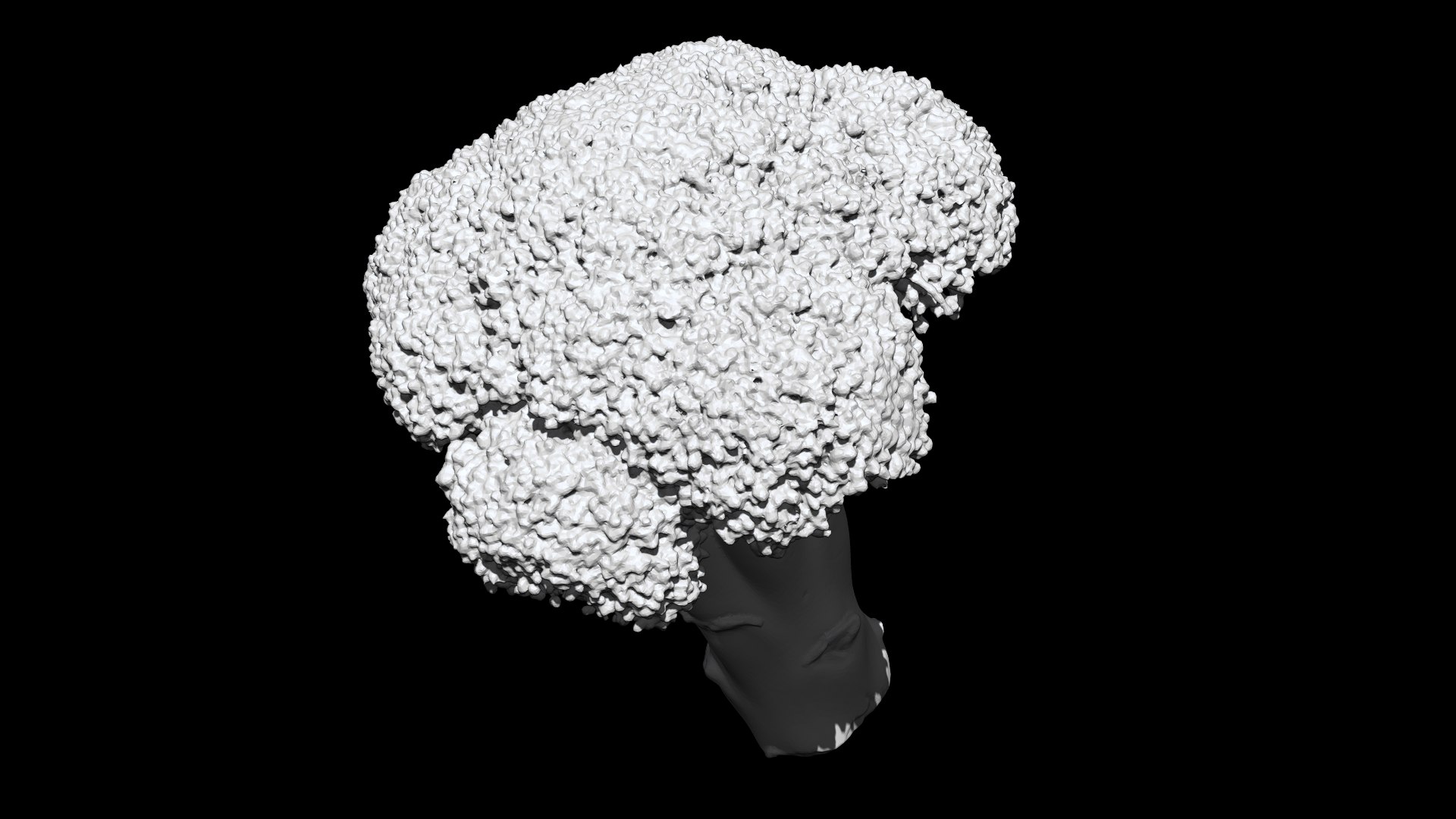 Broccoli 3D CT Scan Model Decimate 50percent 3D Model - TurboSquid 1886396