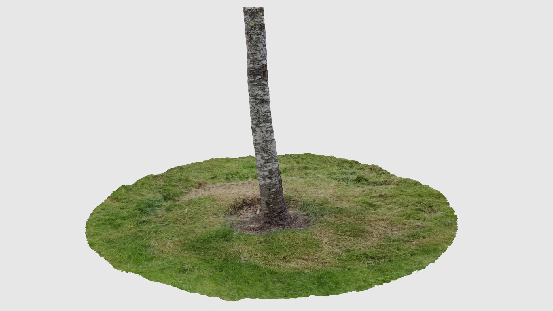 3D tree - TurboSquid 1754564