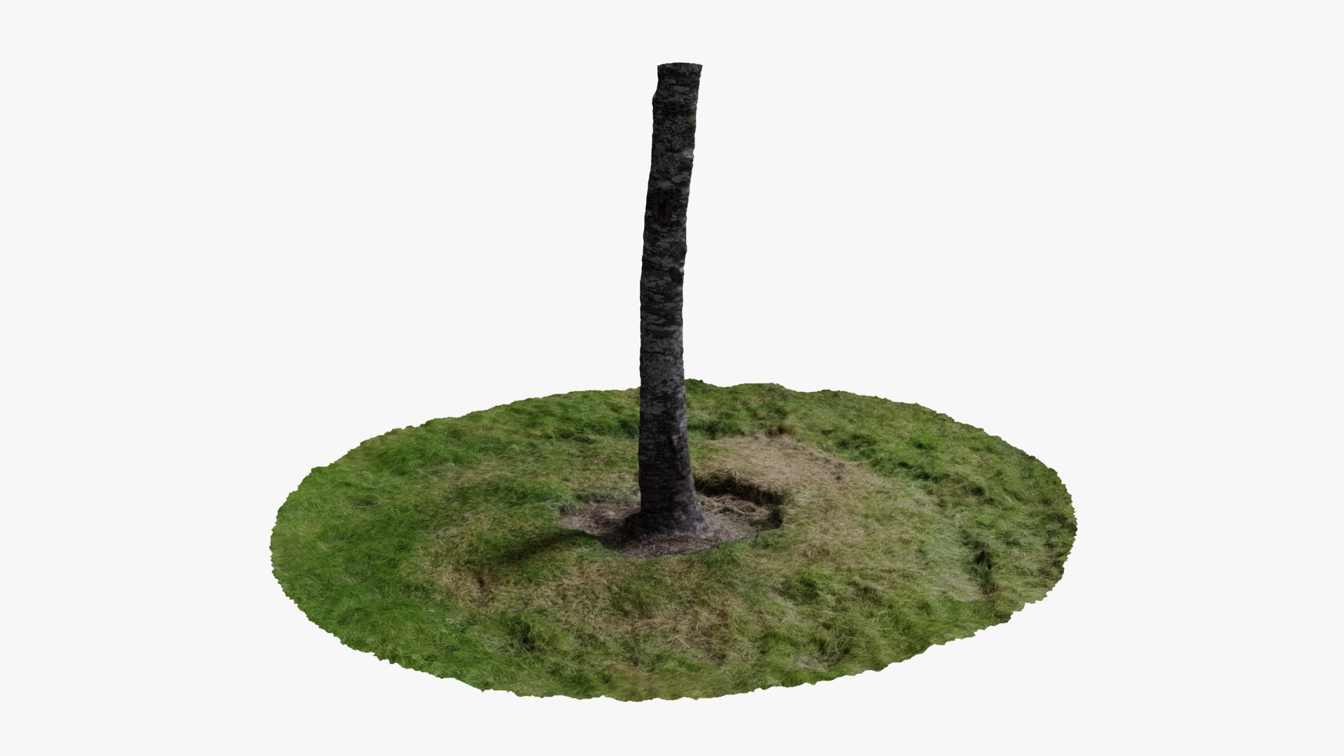 3D tree - TurboSquid 1754564