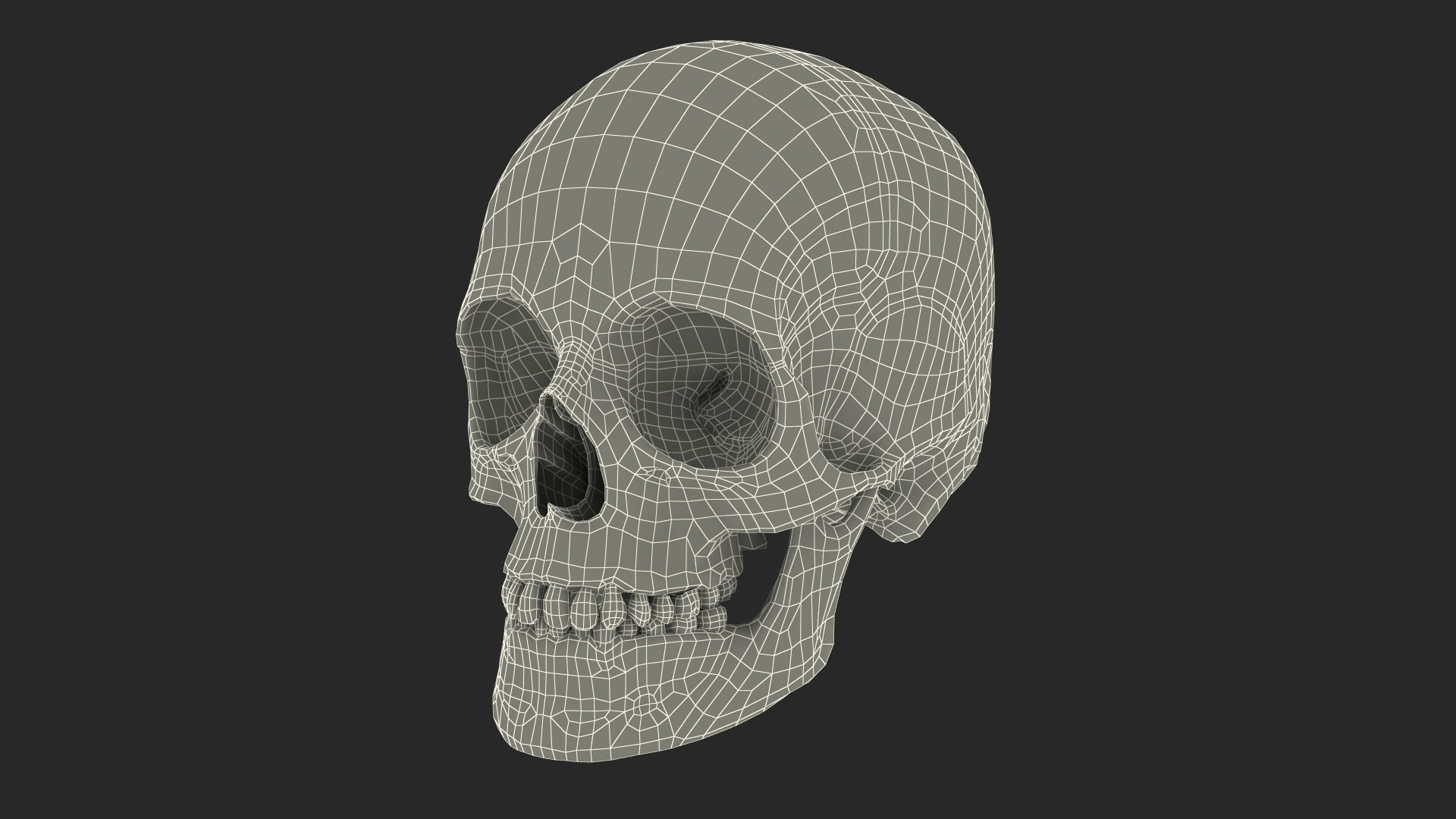 Female Human Skull Anatomy Model 3D Model - TurboSquid 2386162
