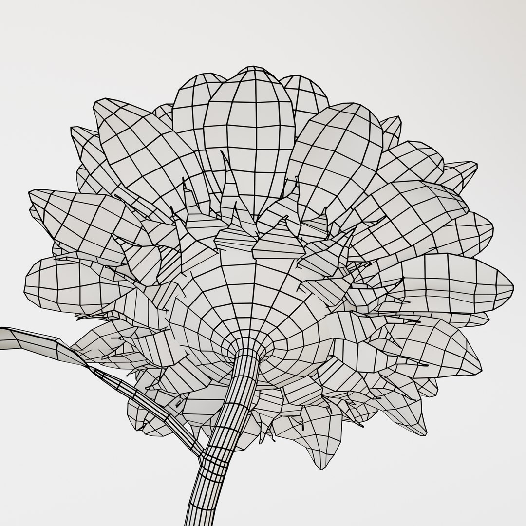 3D Sunflower Model - TurboSquid 2013634