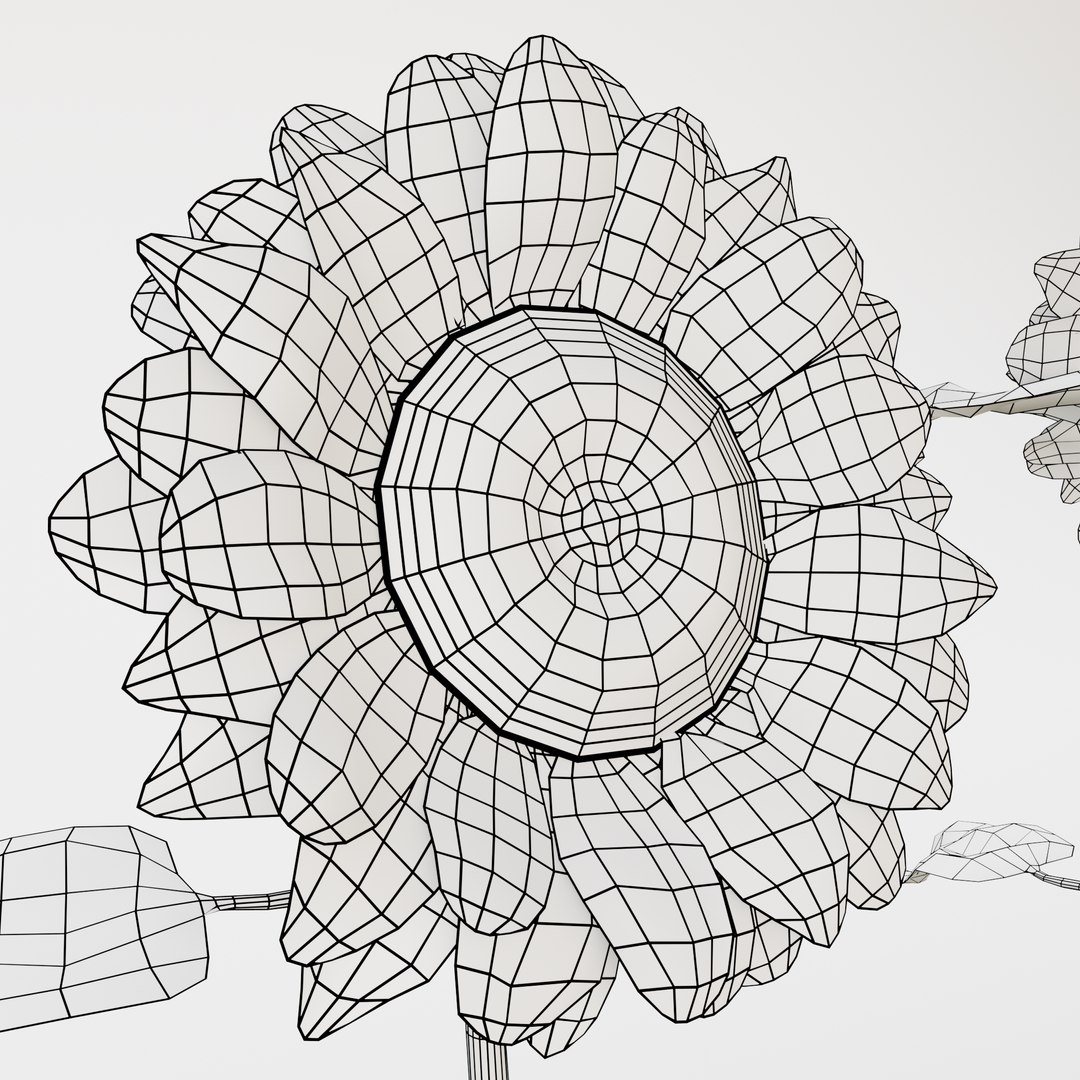 3D Sunflower Model - TurboSquid 2013634