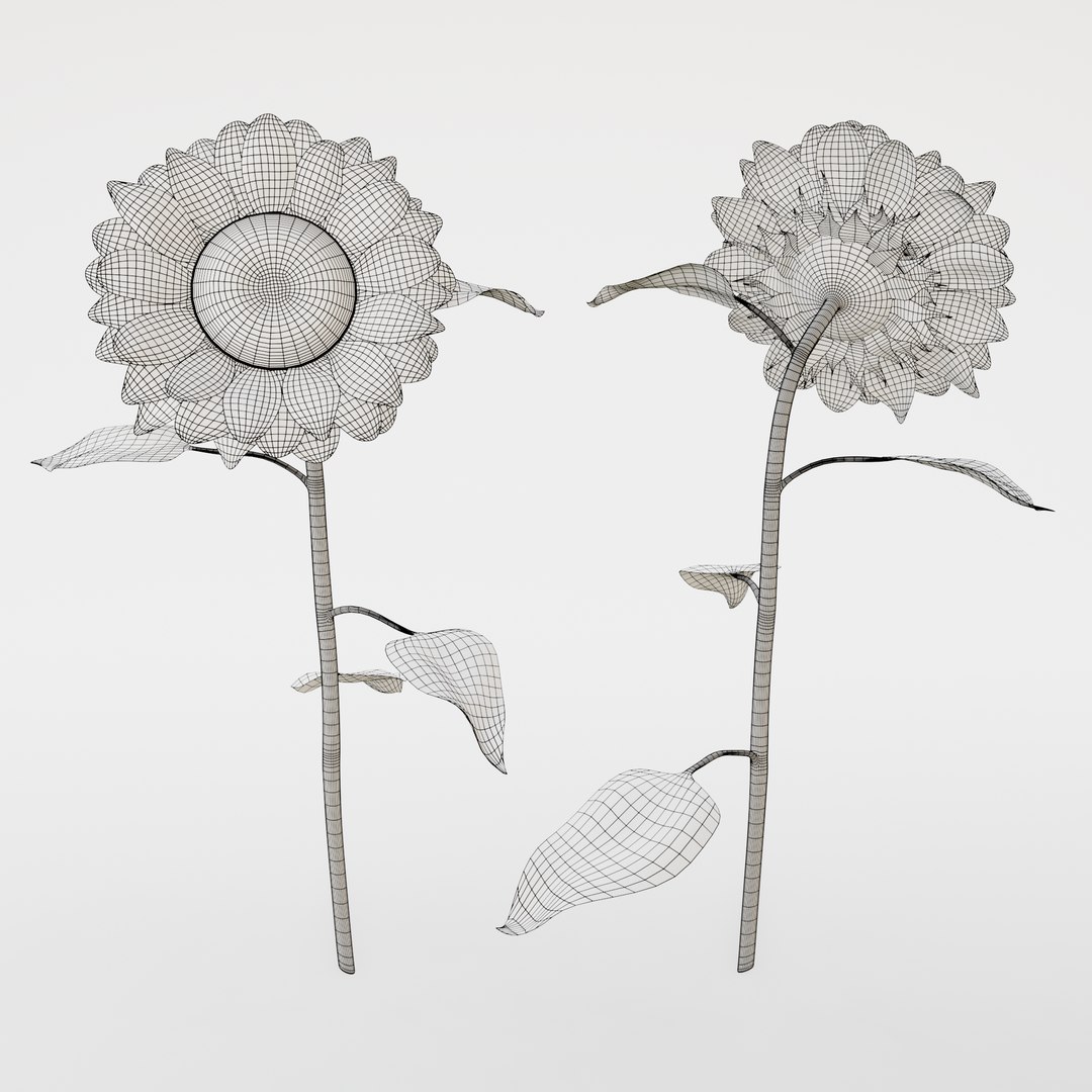 3D Sunflower Model - TurboSquid 2013634