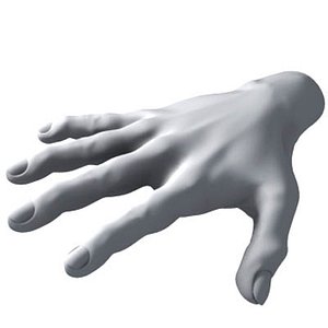 Hand 3D Models for Download | TurboSquid