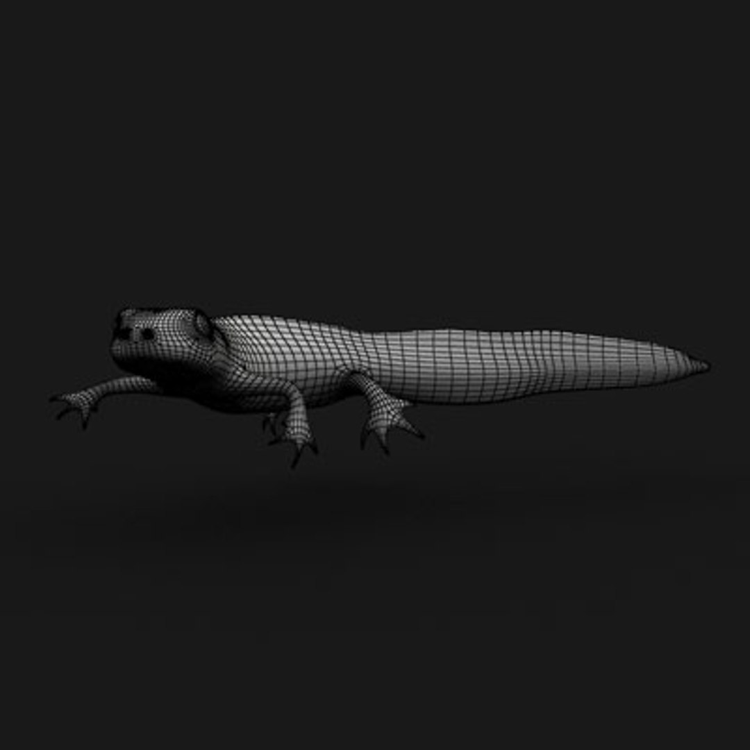 smooth newt lizards 3d model