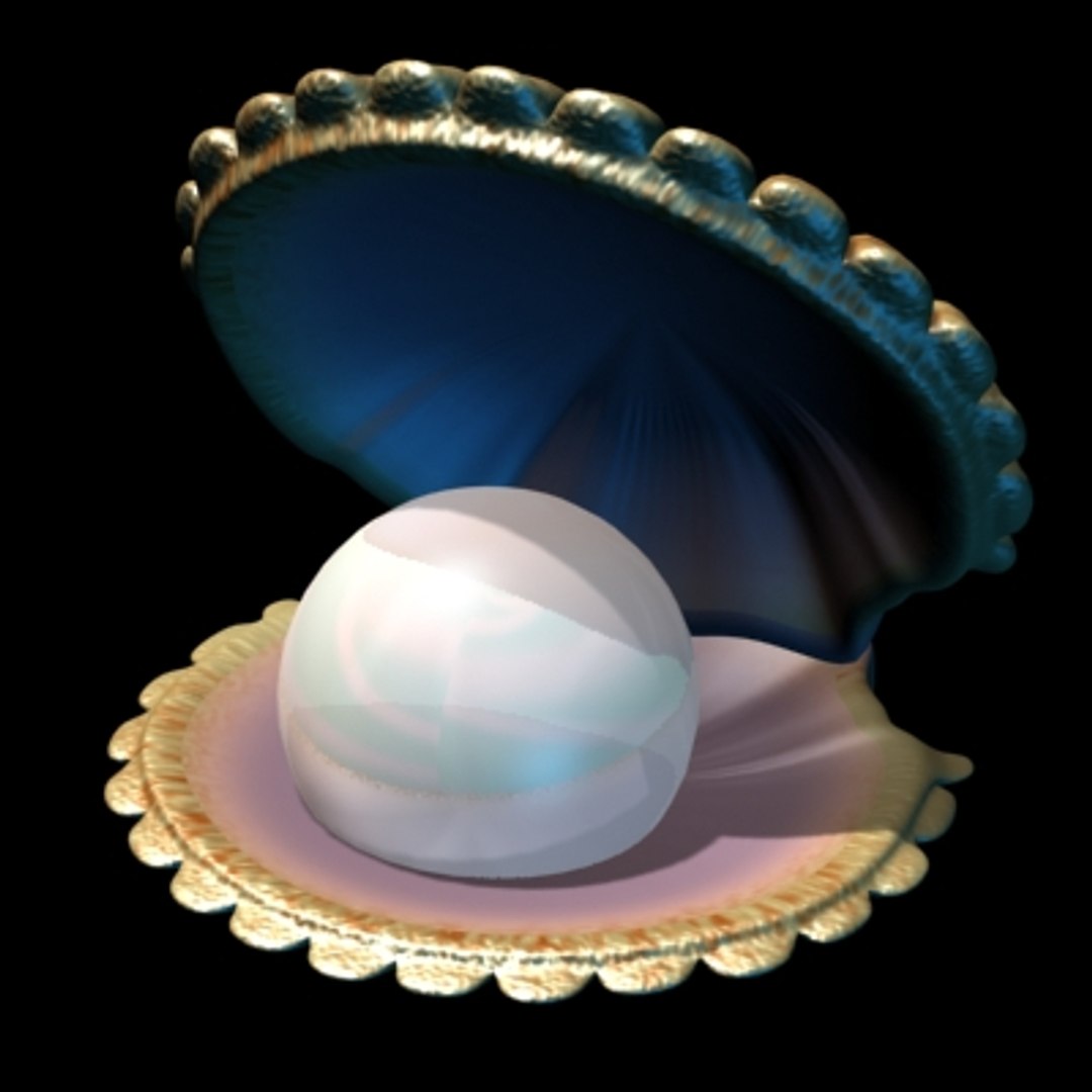 3d Shell Pearl Model