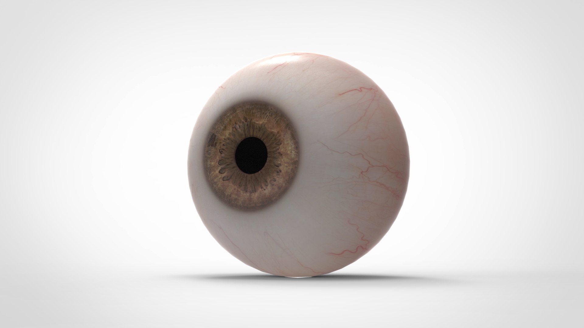 3D Eyeball - TurboSquid 2184943