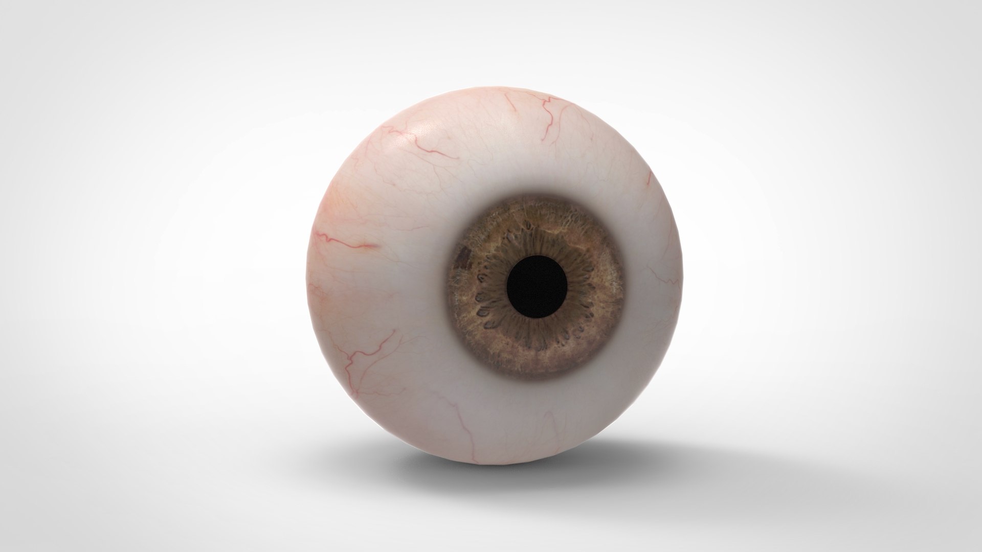3D Eyeball - TurboSquid 2184943