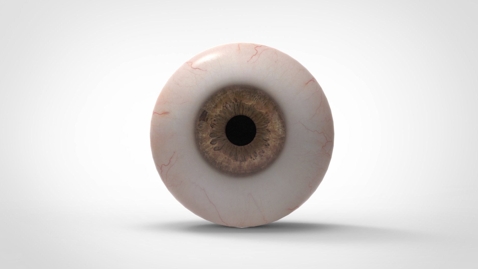 3D Eyeball - TurboSquid 2184943