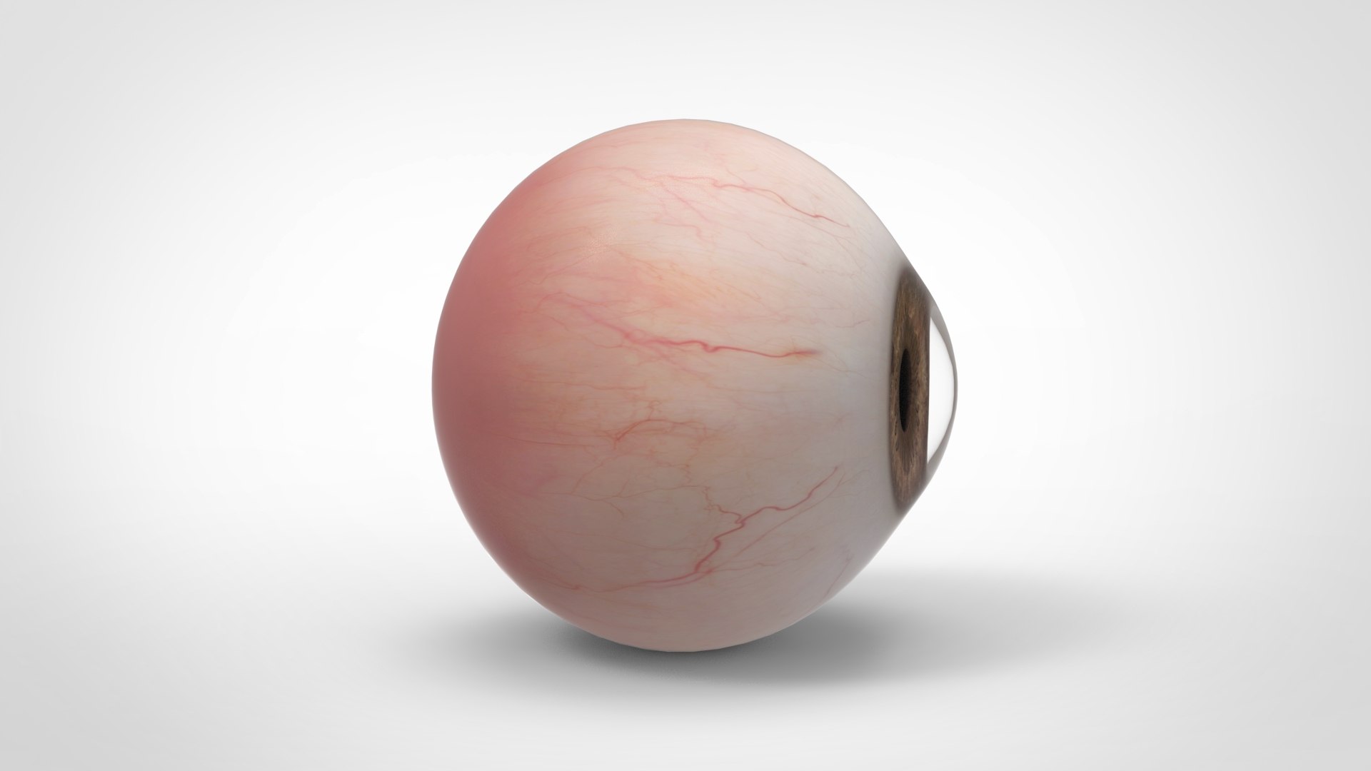 3D Eyeball - TurboSquid 2184943