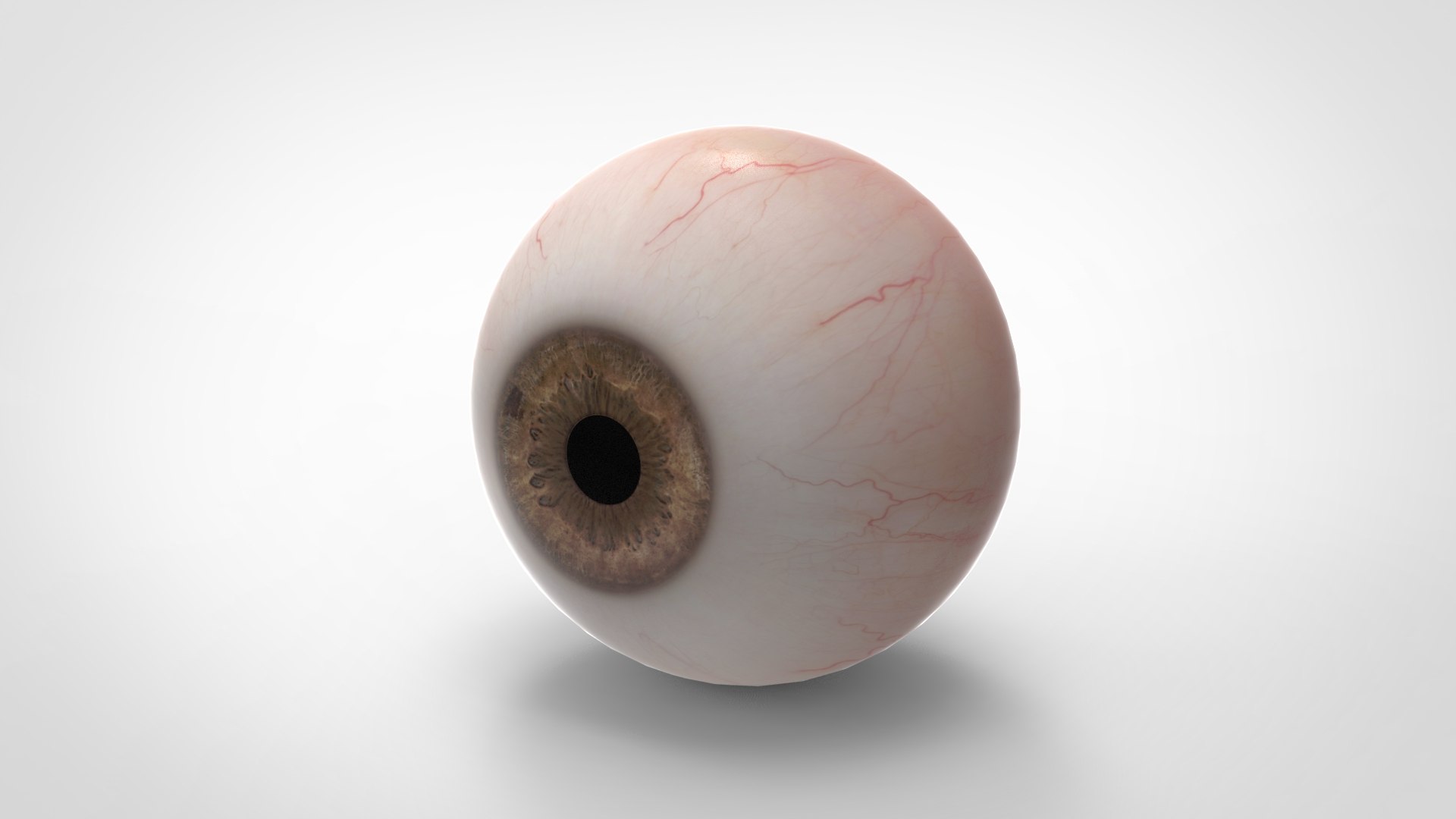 3D Eyeball - TurboSquid 2184943