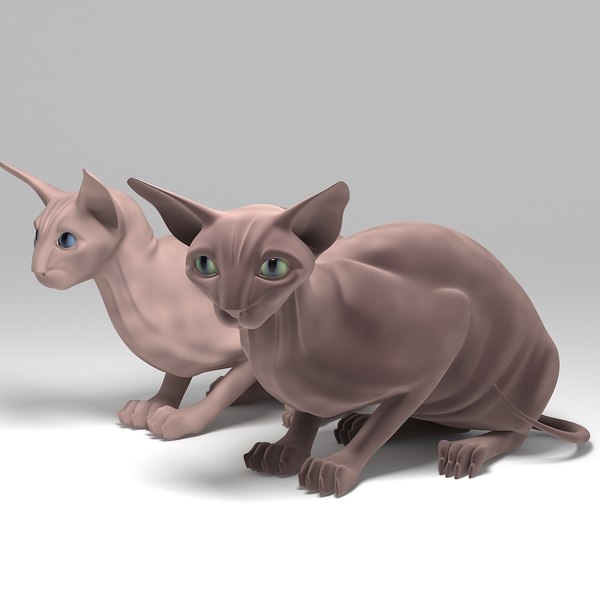 Sphynx Cat 3D Models for Download | TurboSquid