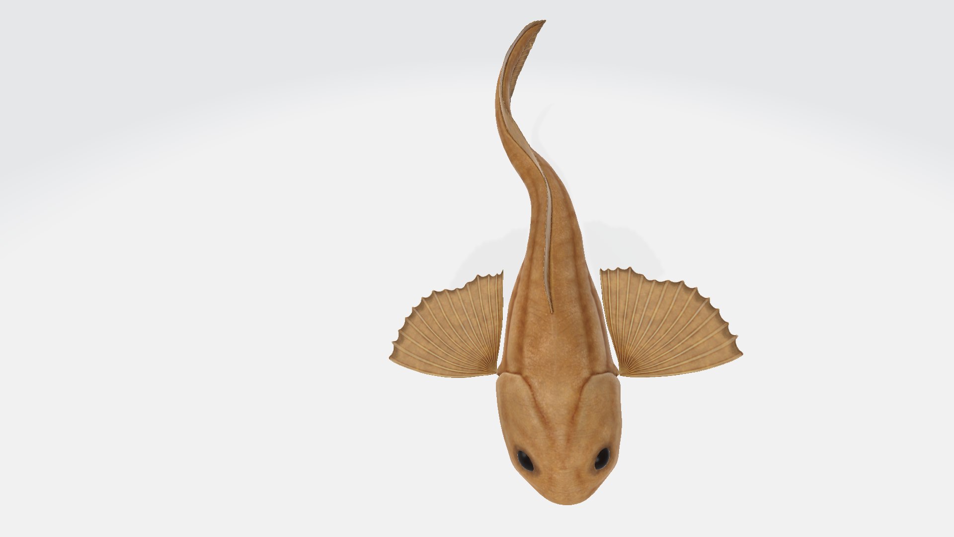 Mariana Snailfish Model - TurboSquid 2294961