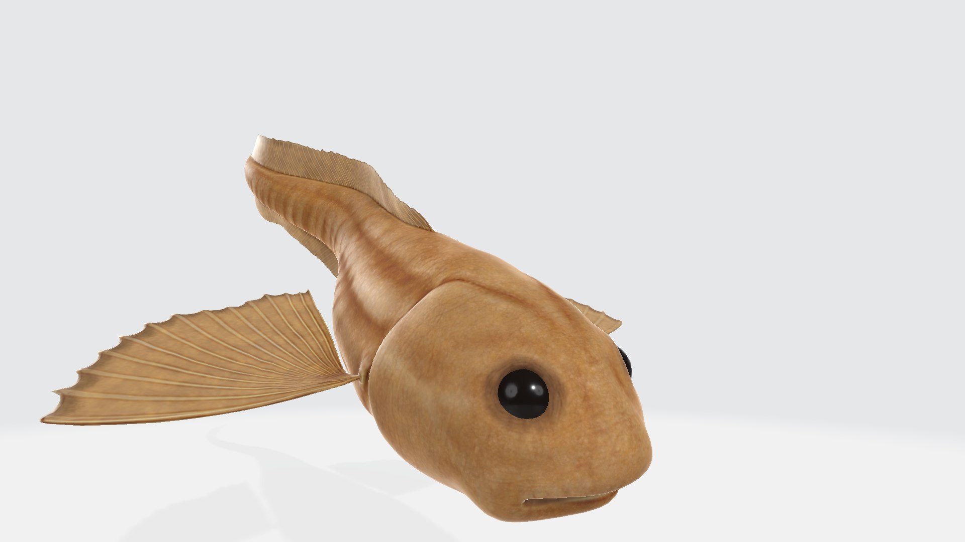 Mariana Snailfish Model - TurboSquid 2294961