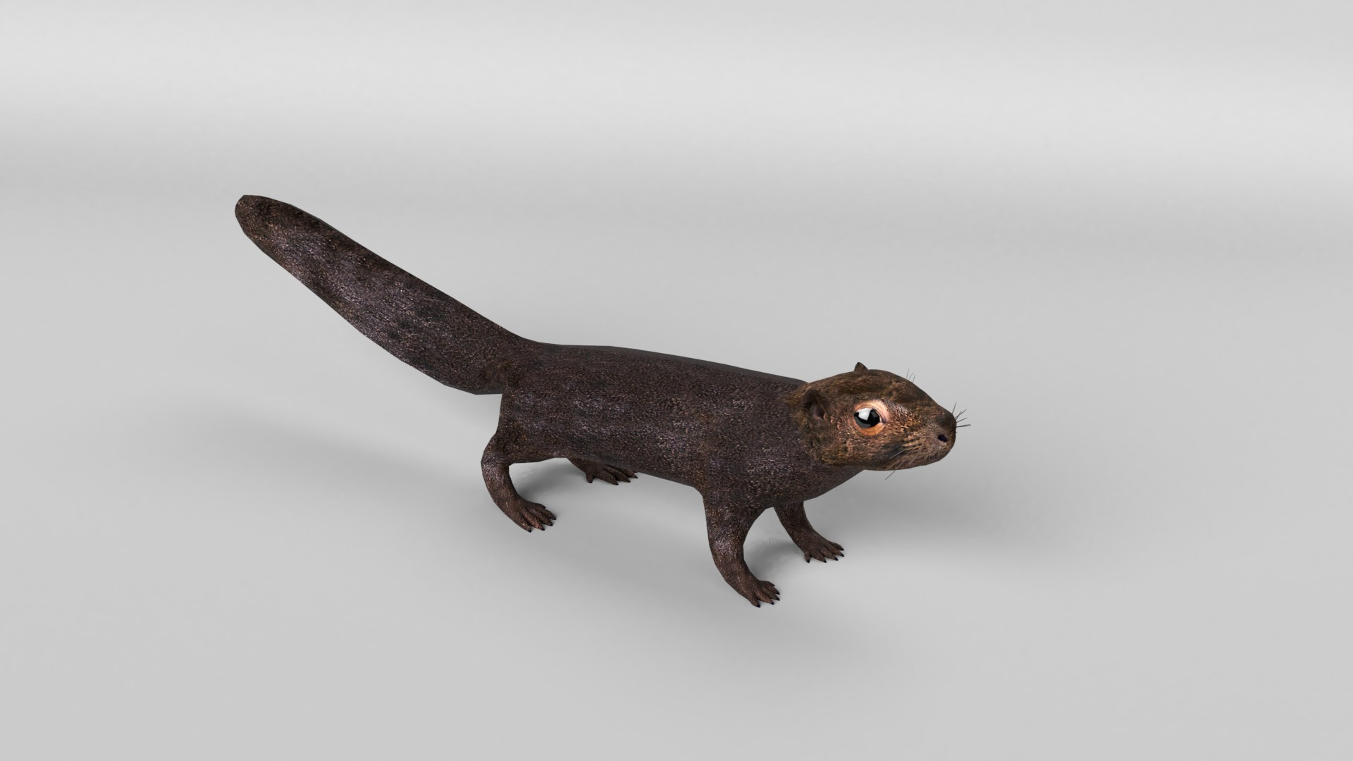 Rodents Collection 3D Model - TurboSquid 1998934