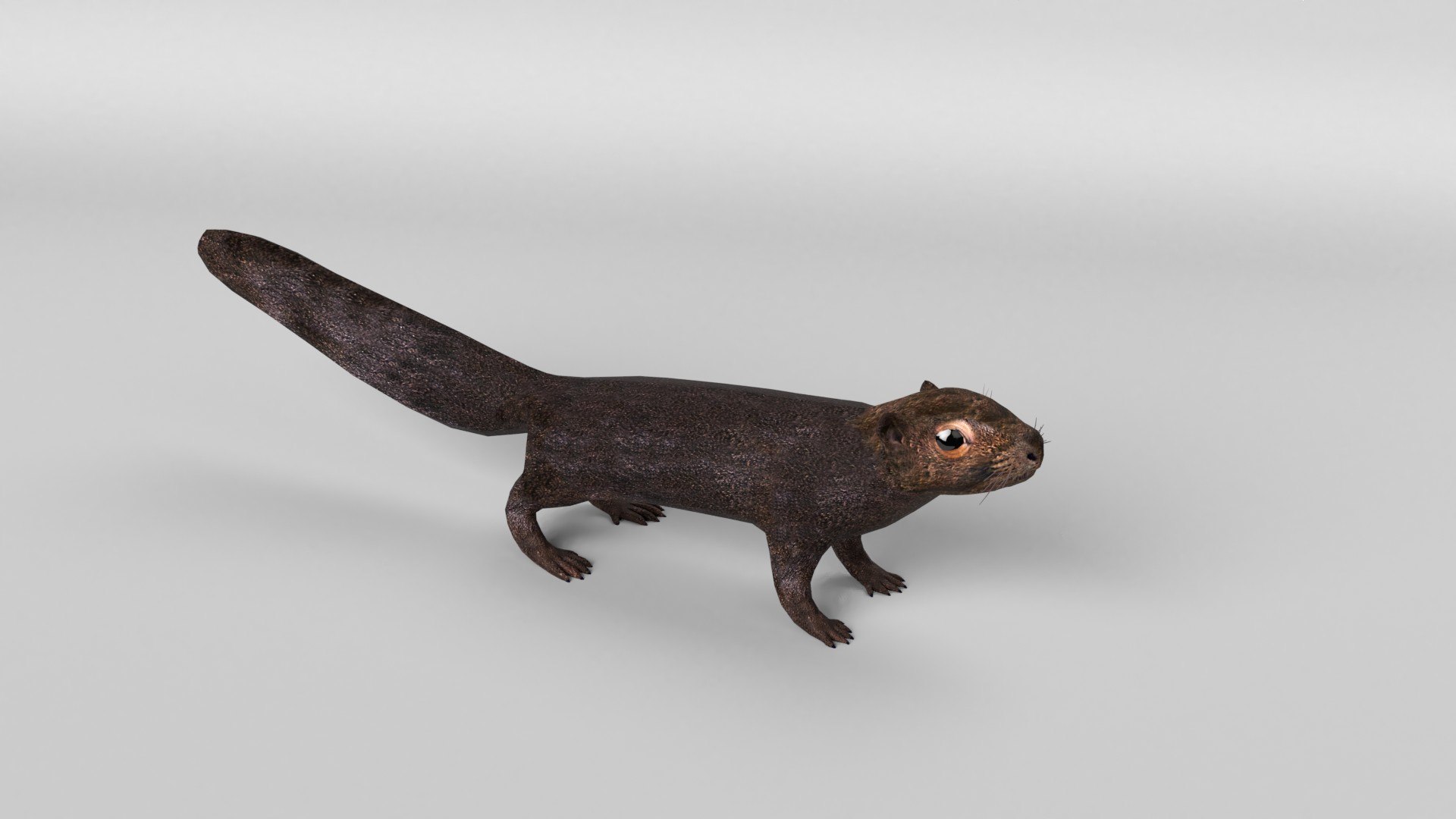 Rodents collection 3D model - TurboSquid 1998934