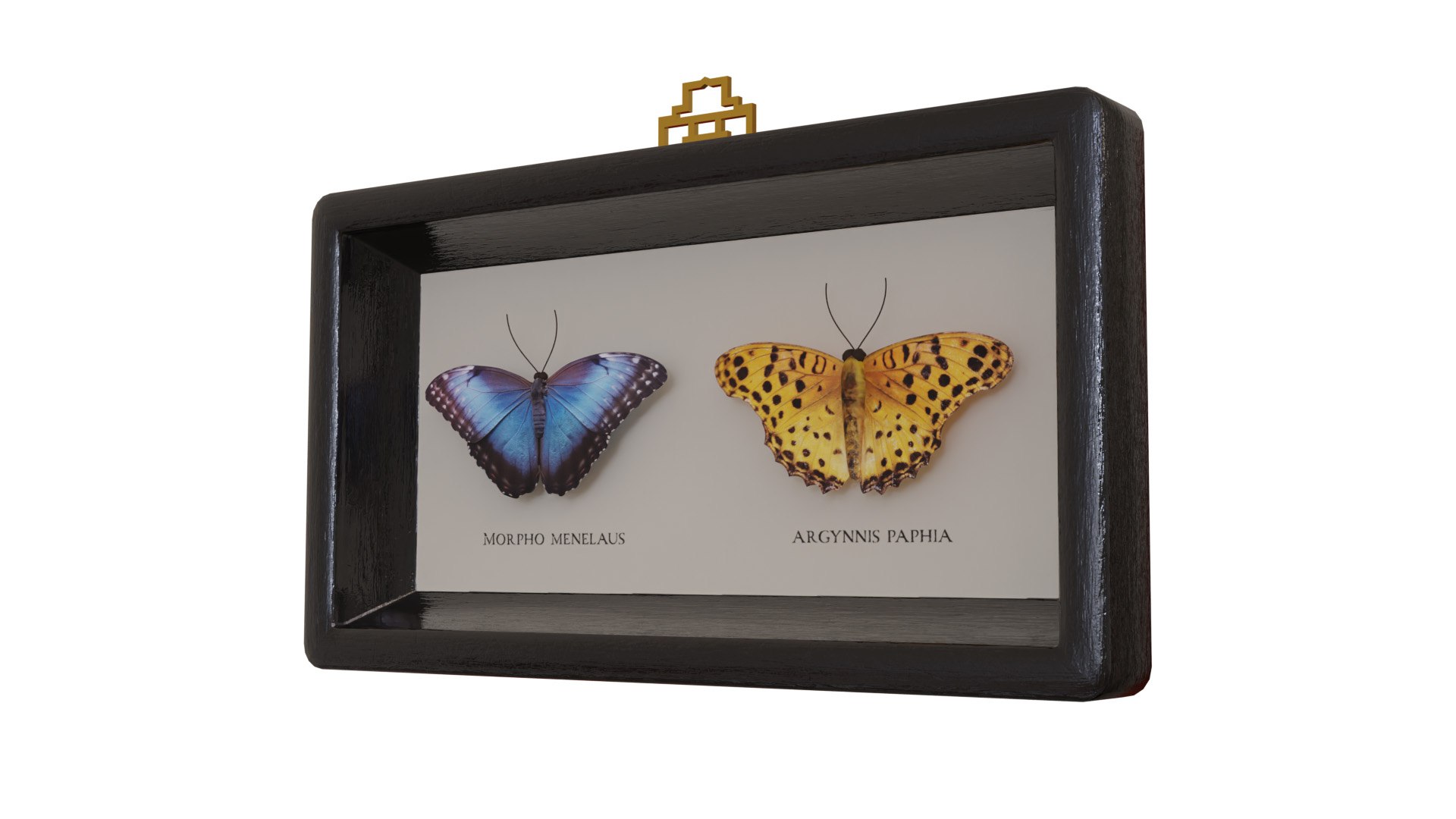 3D Displace Case With Two Butterflies Model - TurboSquid 2060534