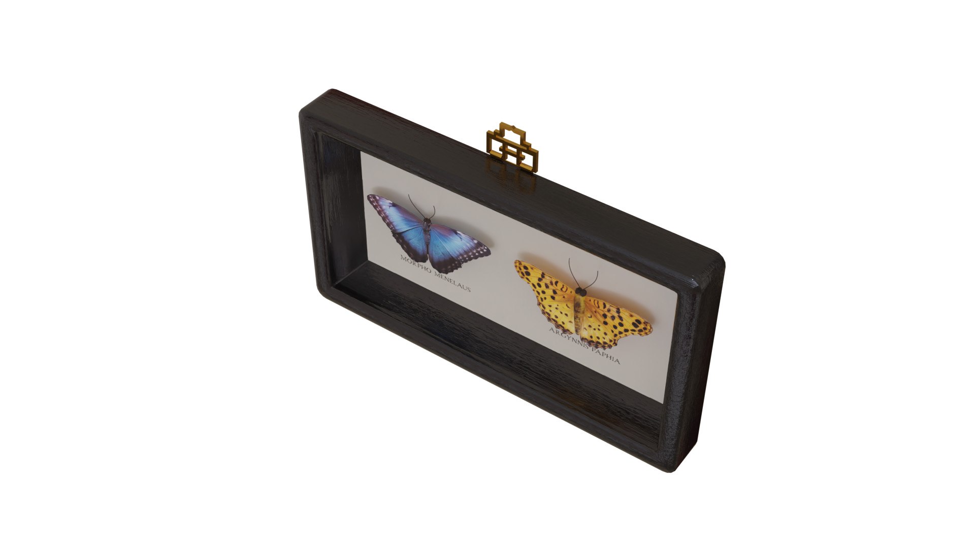 3D Displace Case With Two Butterflies Model - TurboSquid 2060534