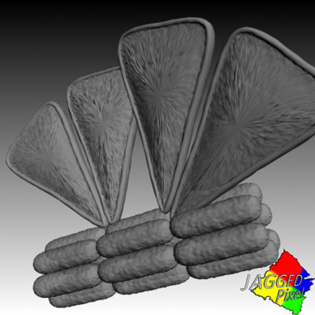 Diatom Cells 3d Model