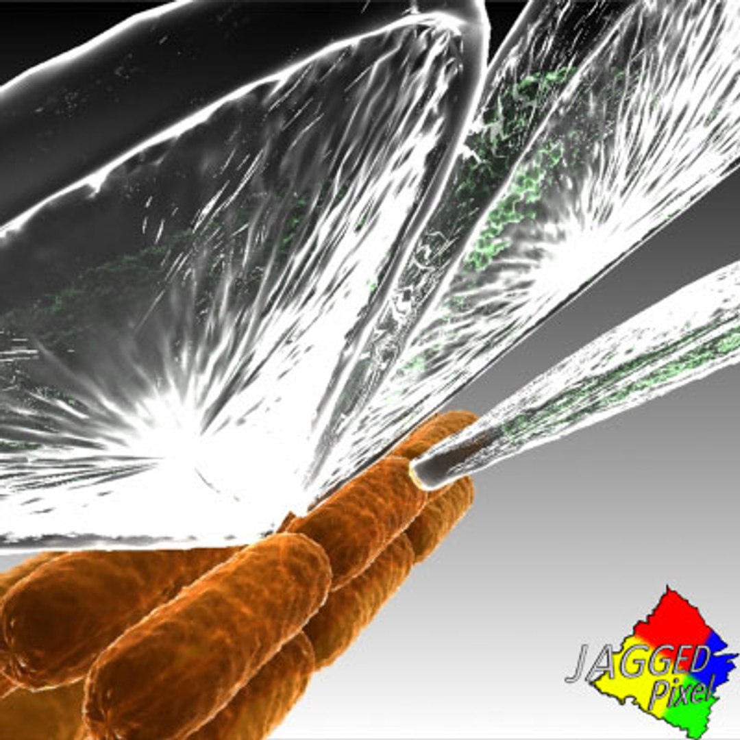 Diatom Cells 3d Model