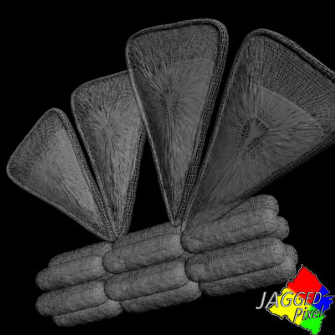 Diatom Cells 3d Model
