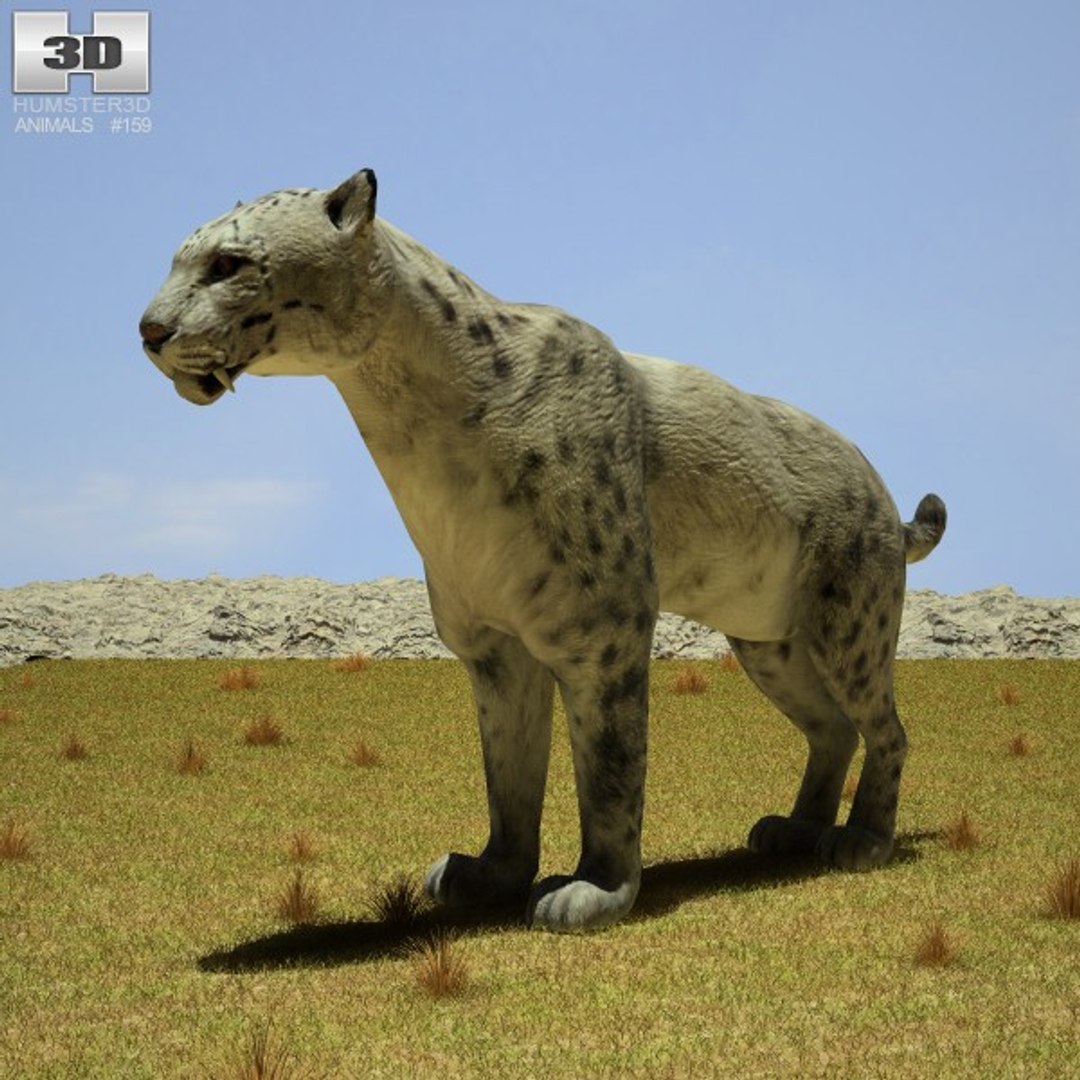 Homotherium 3D 모델 - TurboSquid 1130915
