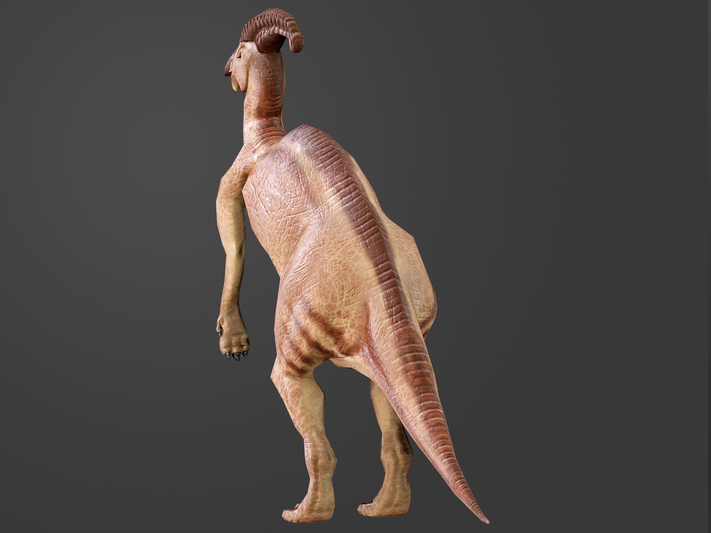 Ready Parasaurolophus 3D Model - TurboSquid 1566054